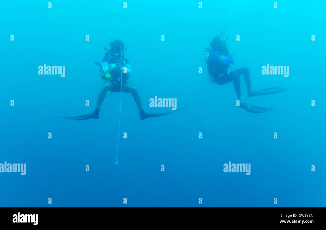 Two scuba divers swimming underwater hi-res stock photography and ...