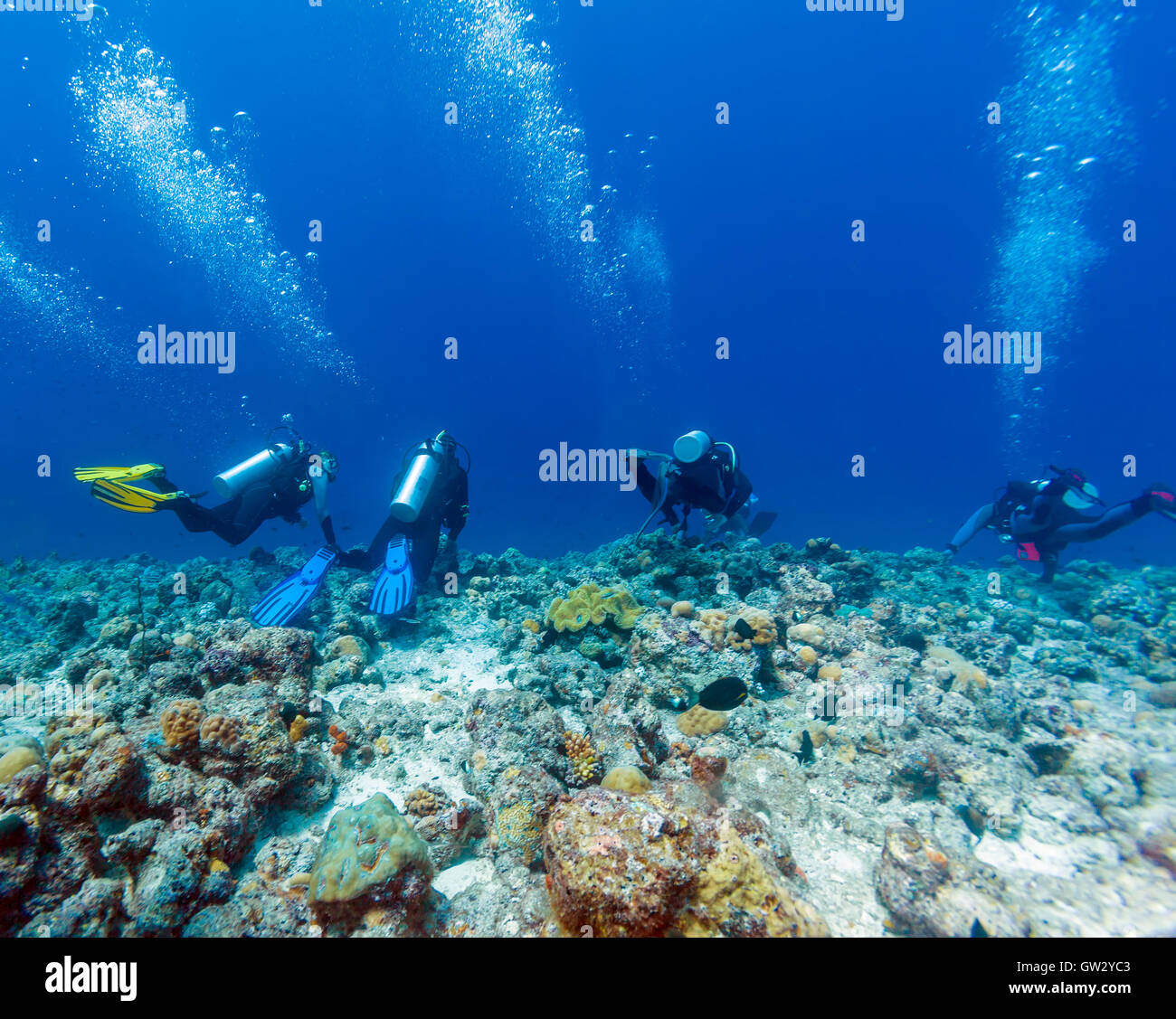 Group of divers hanging on reef wall in strong current, Maldives Stock ...