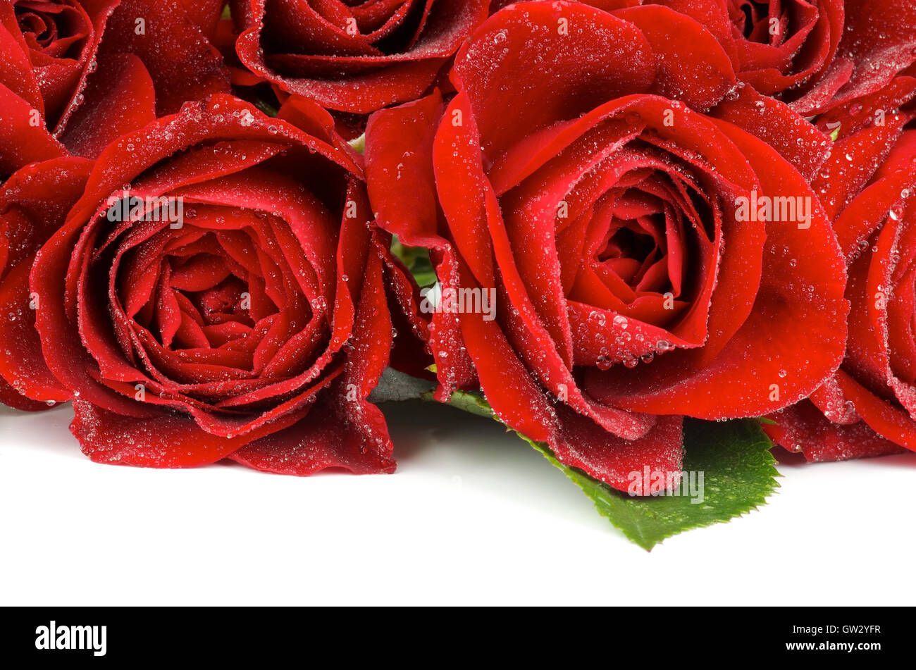 Red Roses Frame Stock Photo - Alamy