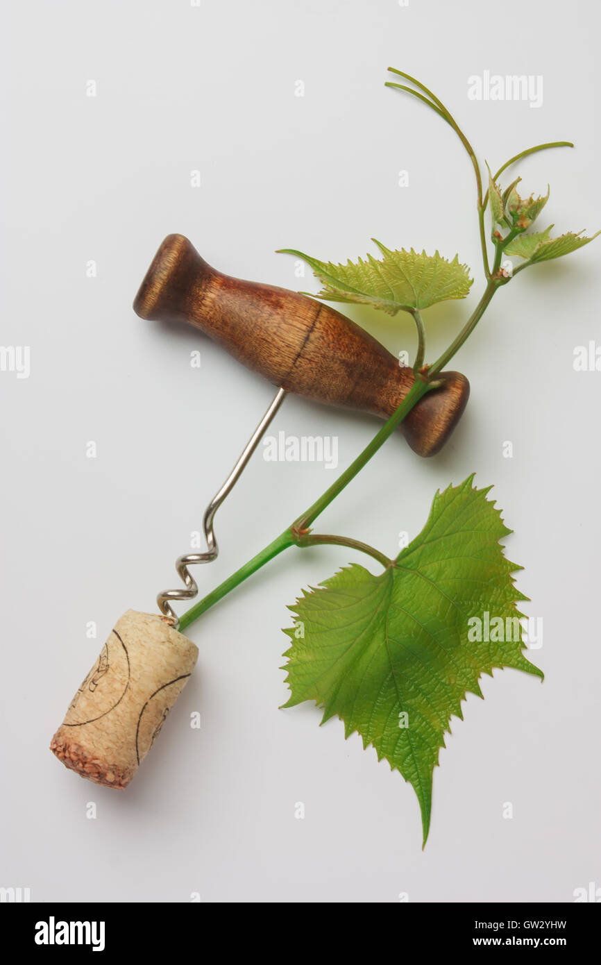 corkscrew and cork Stock Photo - Alamy