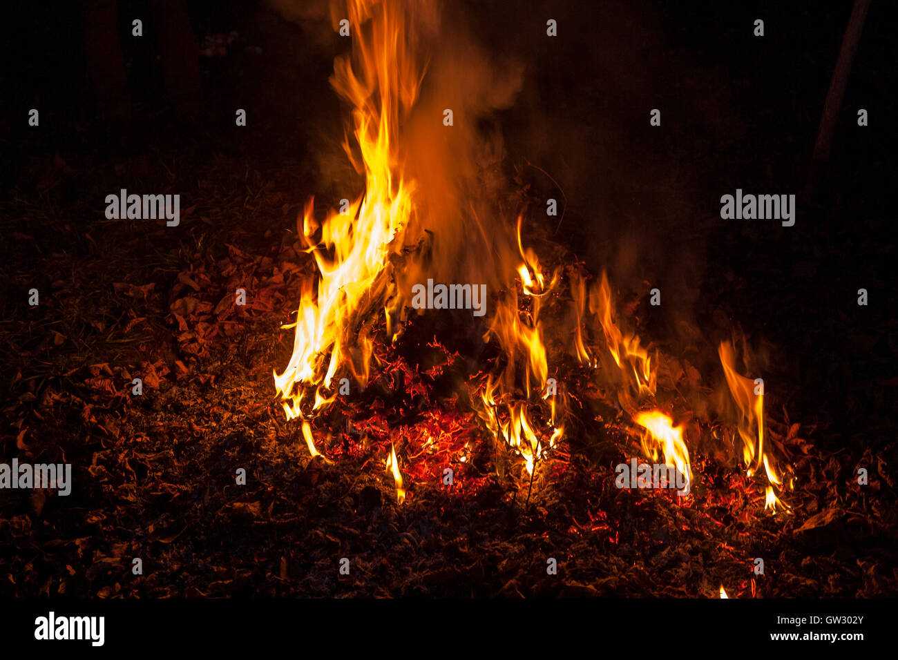 Bonfire burning in backyard Stock Photo - Alamy