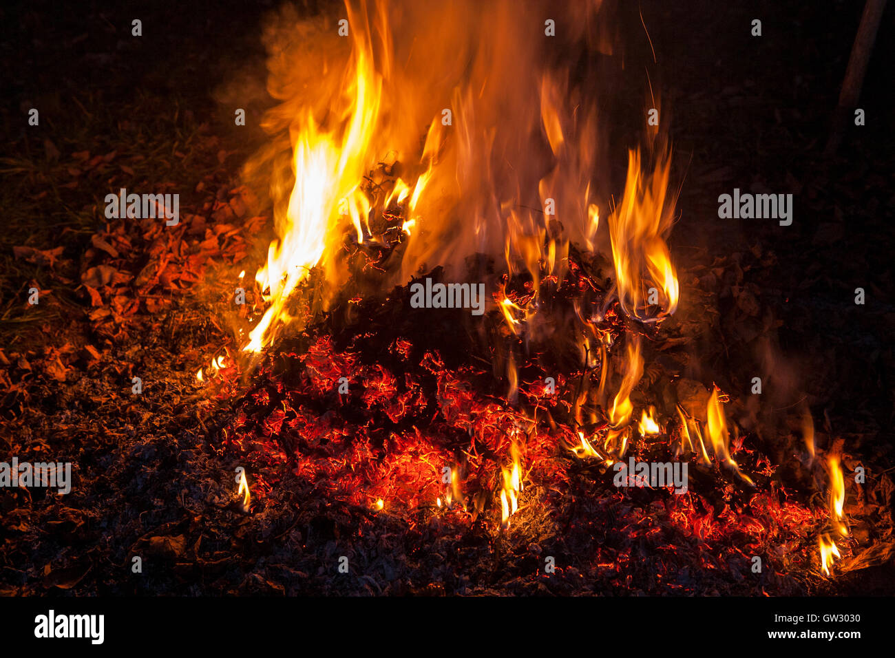 Bonfire burning in backyard Stock Photo - Alamy