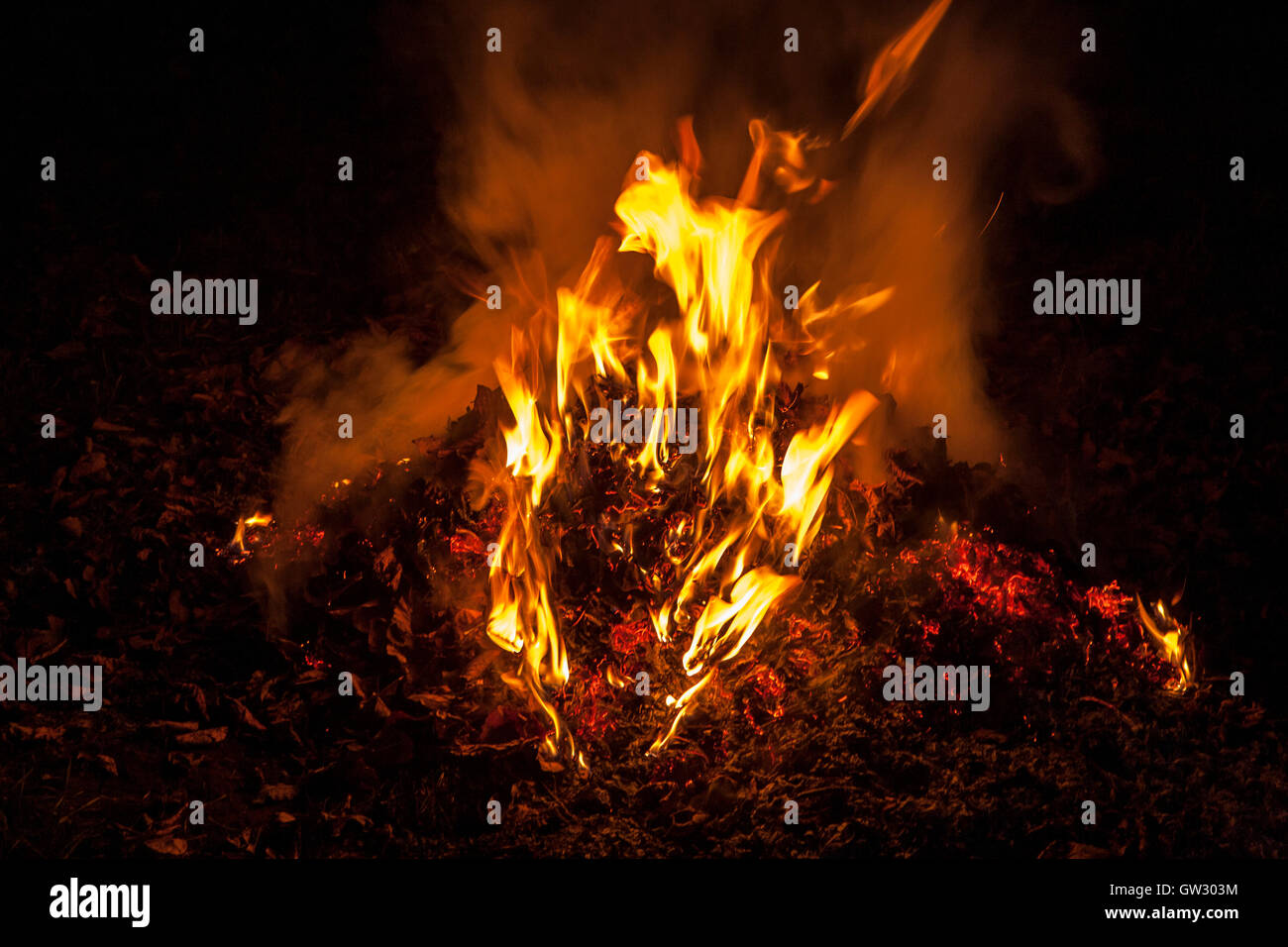 Bonfire burning in backyard Stock Photo - Alamy