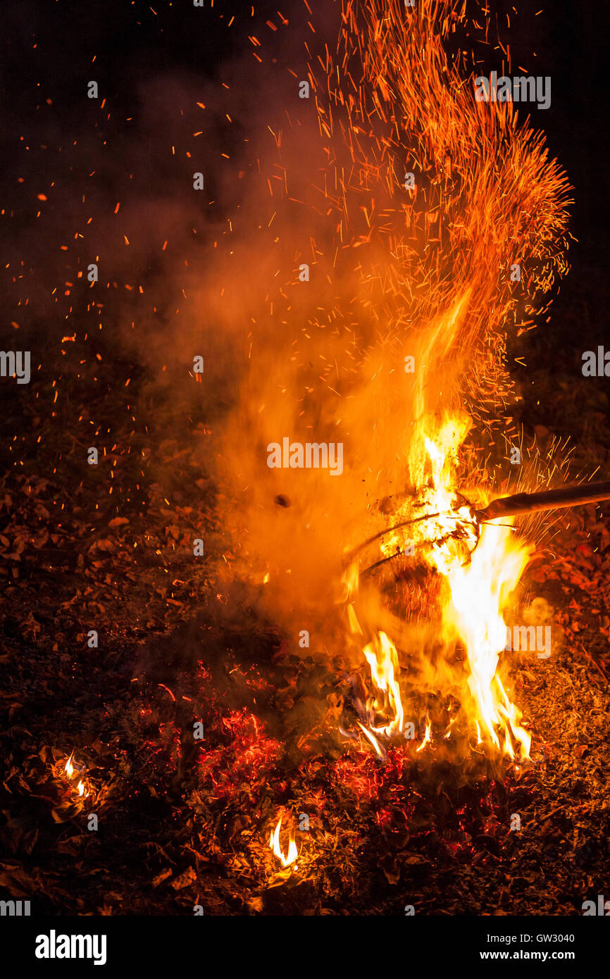 Bonfire burning in backyard Stock Photo - Alamy