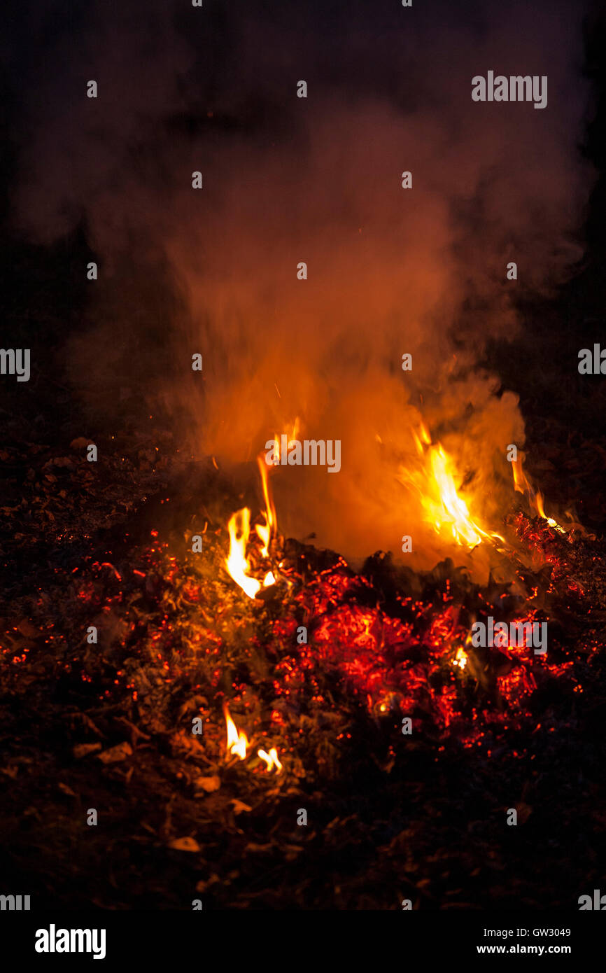 Bonfire burning in backyard Stock Photo - Alamy