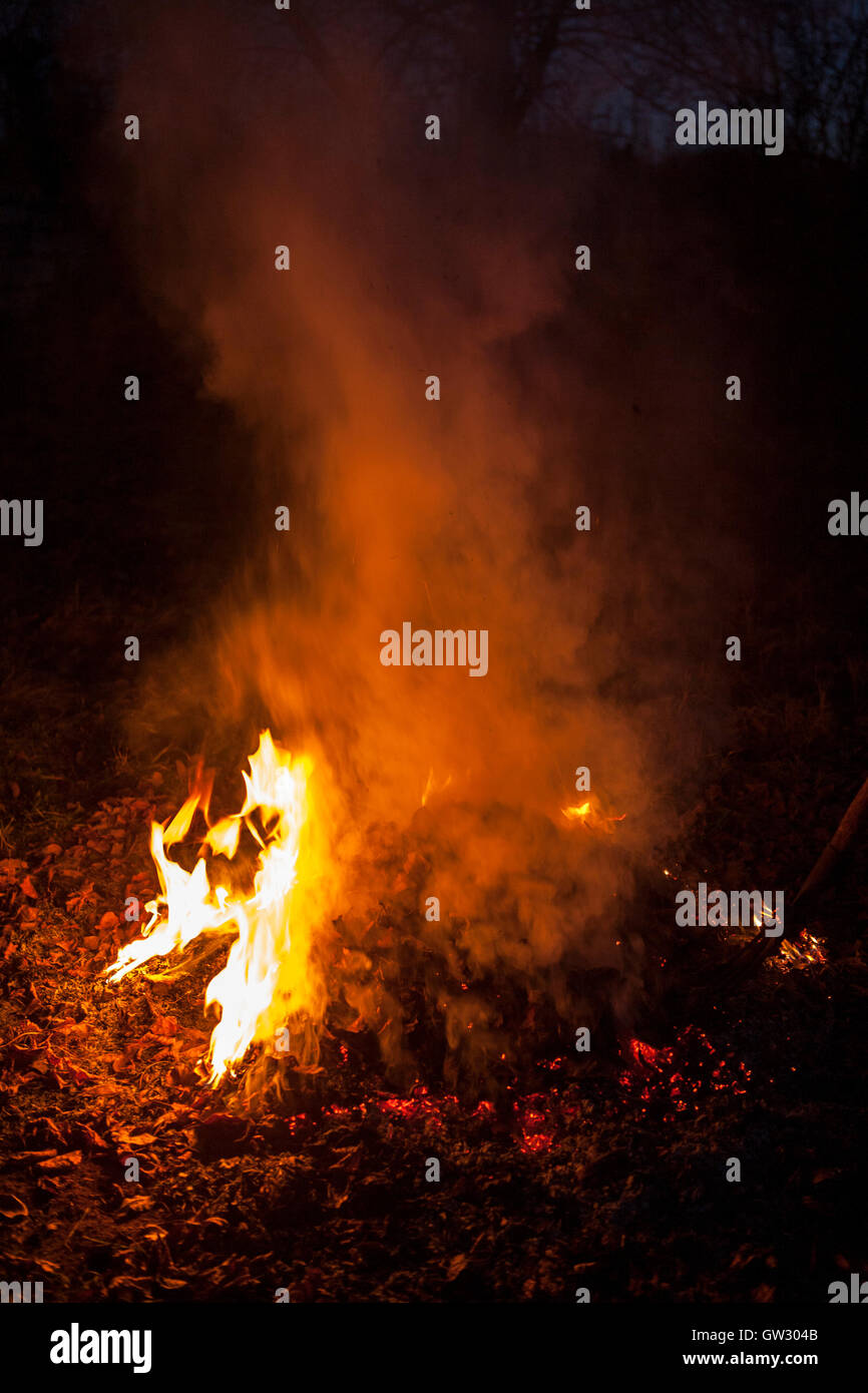 Bonfire burning in backyard Stock Photo - Alamy