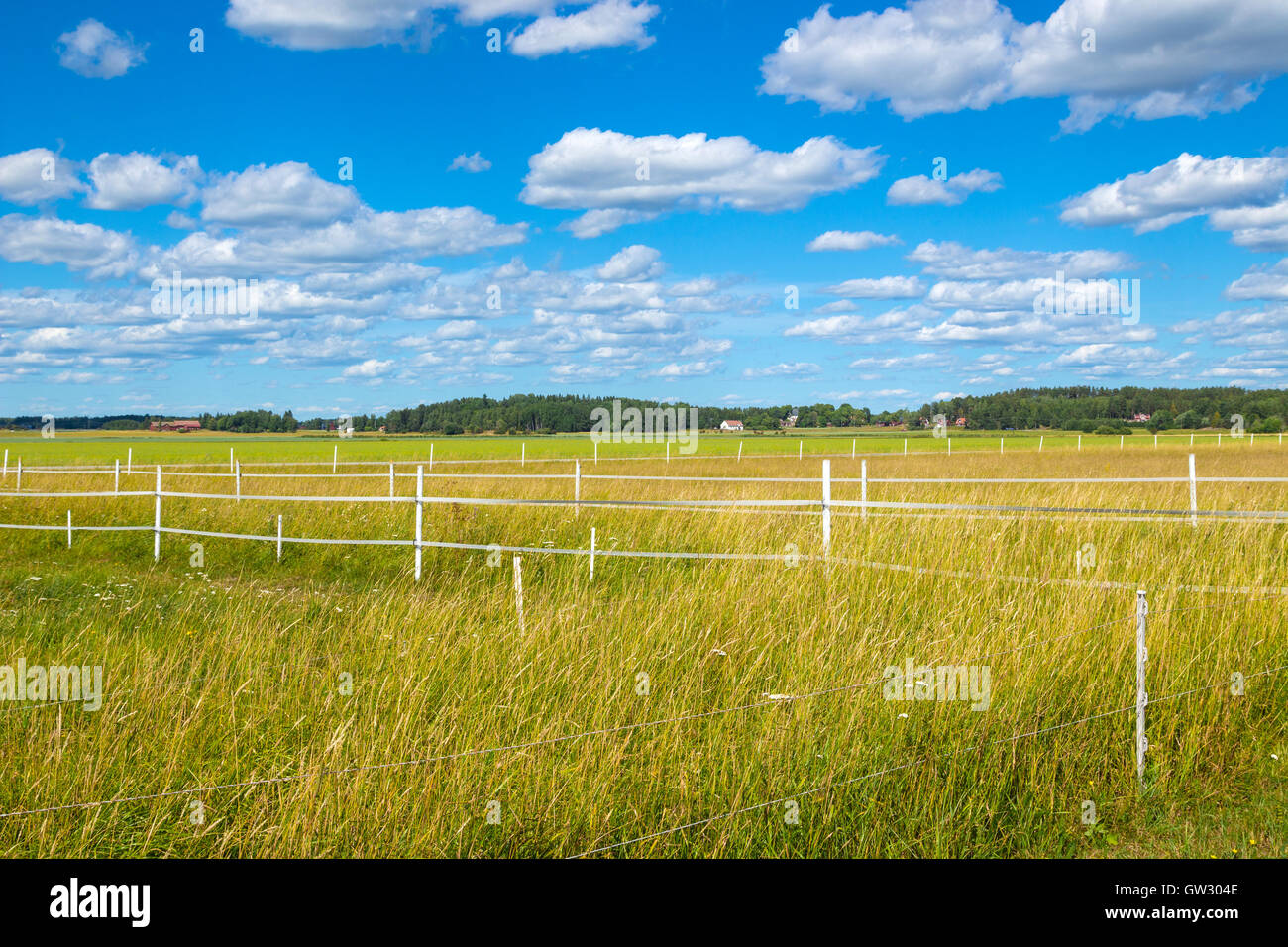 Scandinavian countryside