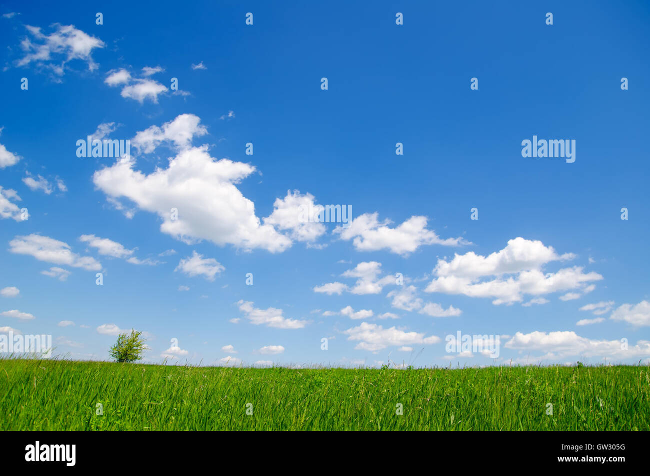 blue sky with clouds and green grass Stock Photo - Alamy