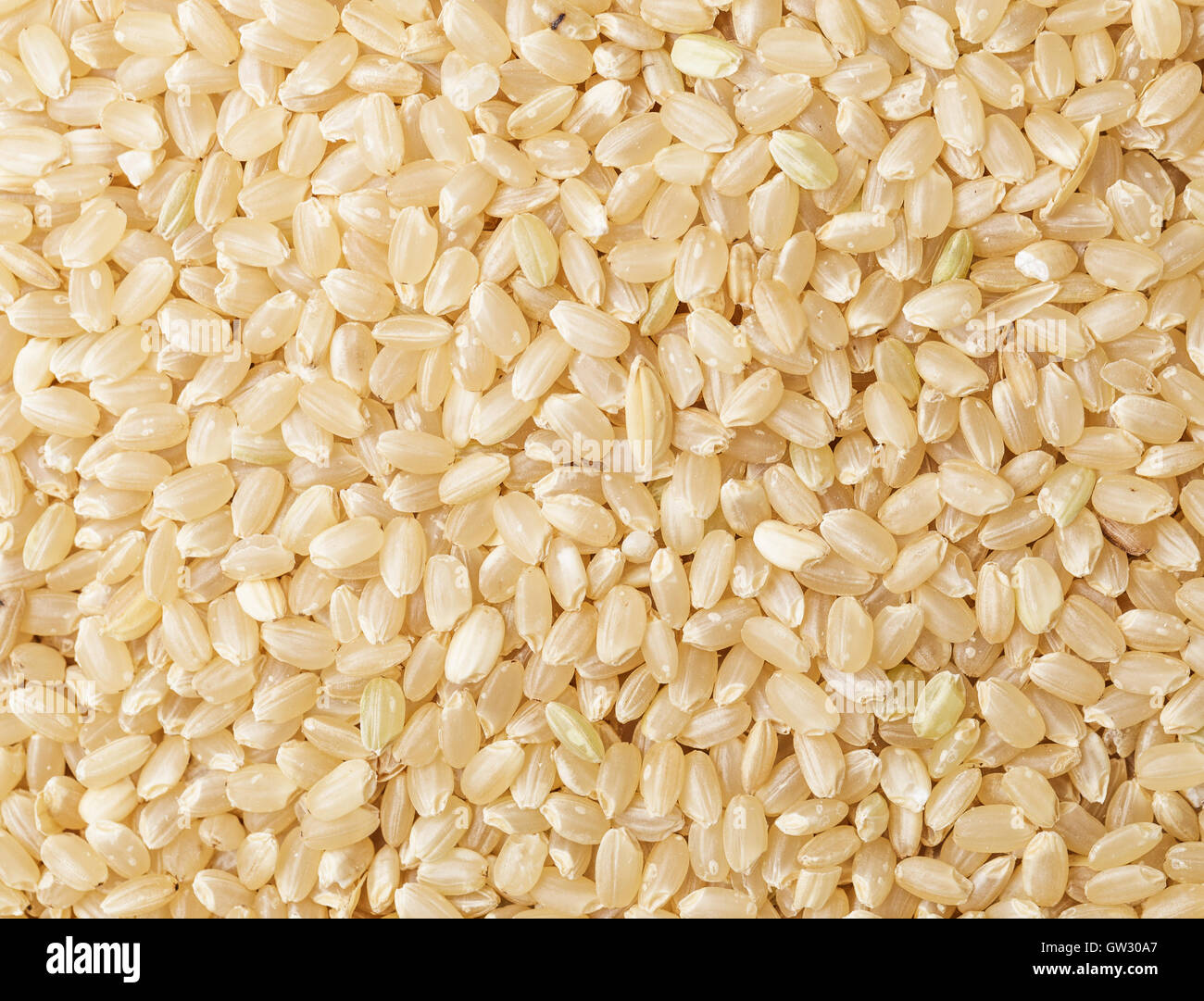 Brown rice background Stock Photo - Alamy