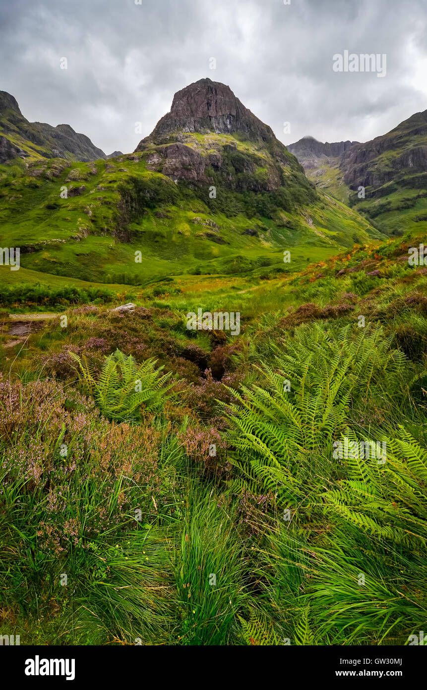 View of Glen Coe mountains with greenery foreground, Scotland Stock ...