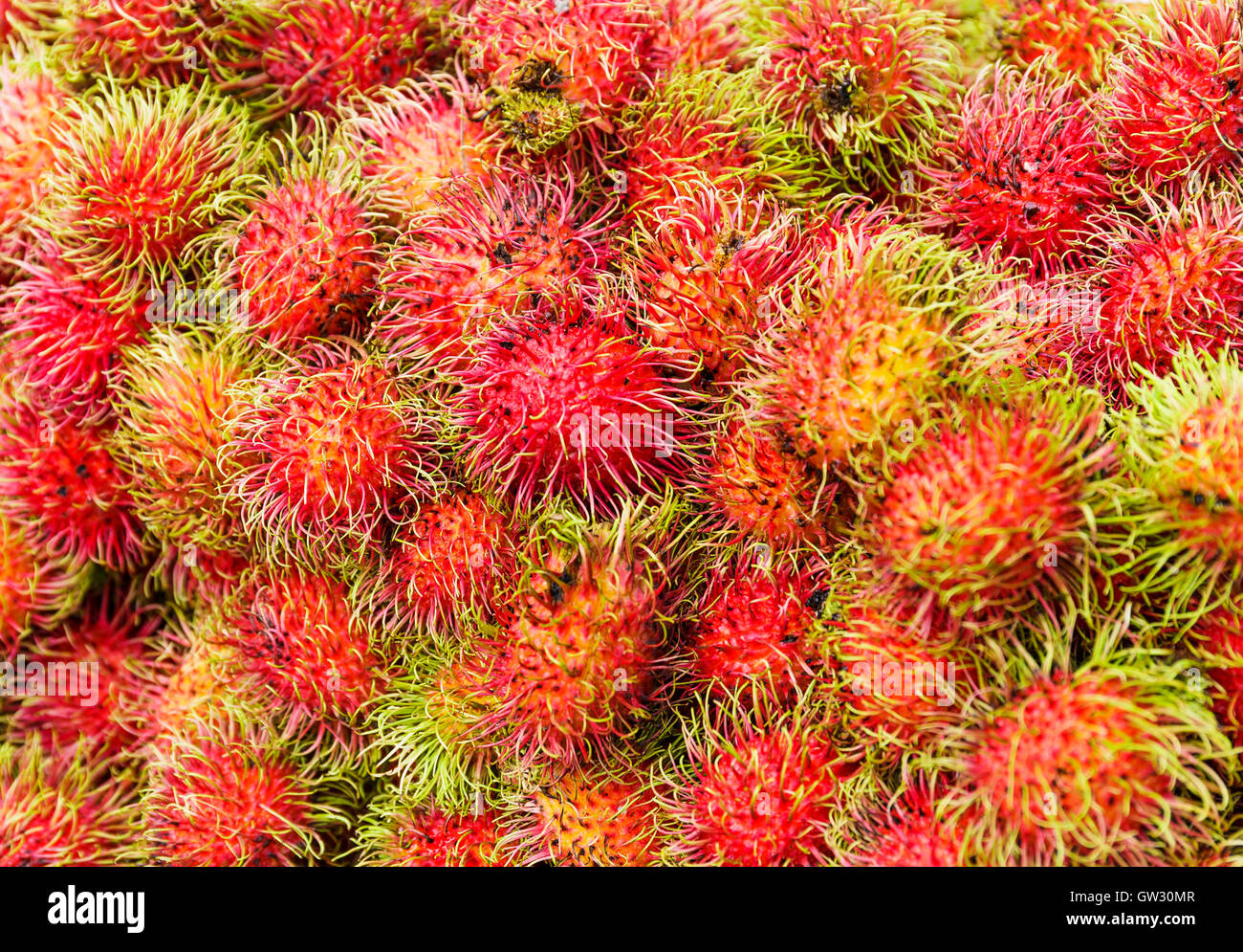 Red rambutan background Stock Photo - Alamy