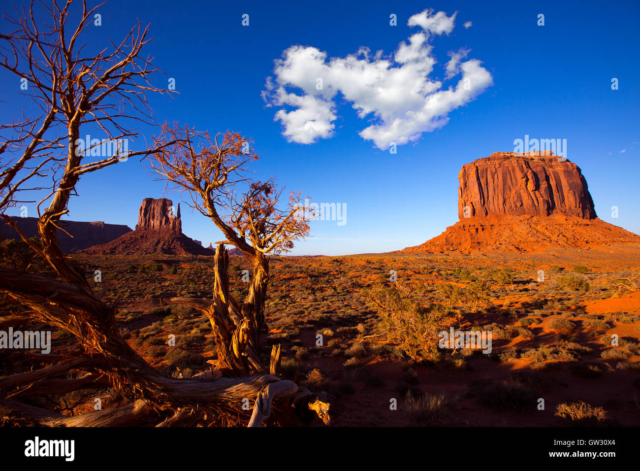 Monument Valley West Mitten and Merrick Butte Stock Photo - Alamy