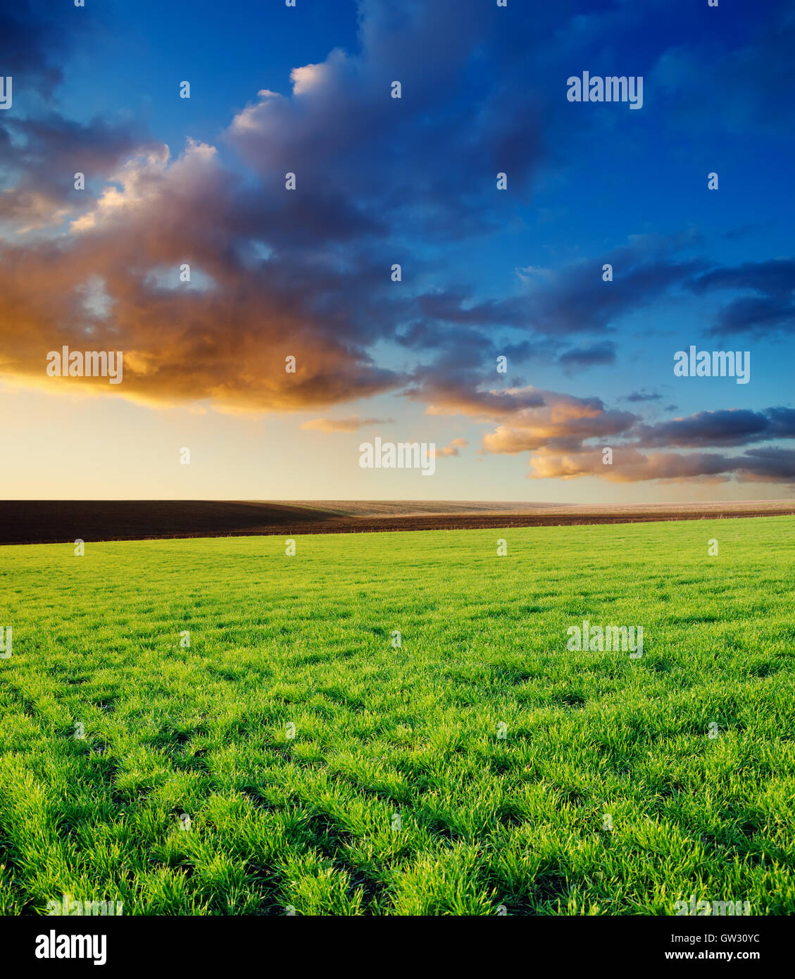 green field and sunset Stock Photo - Alamy