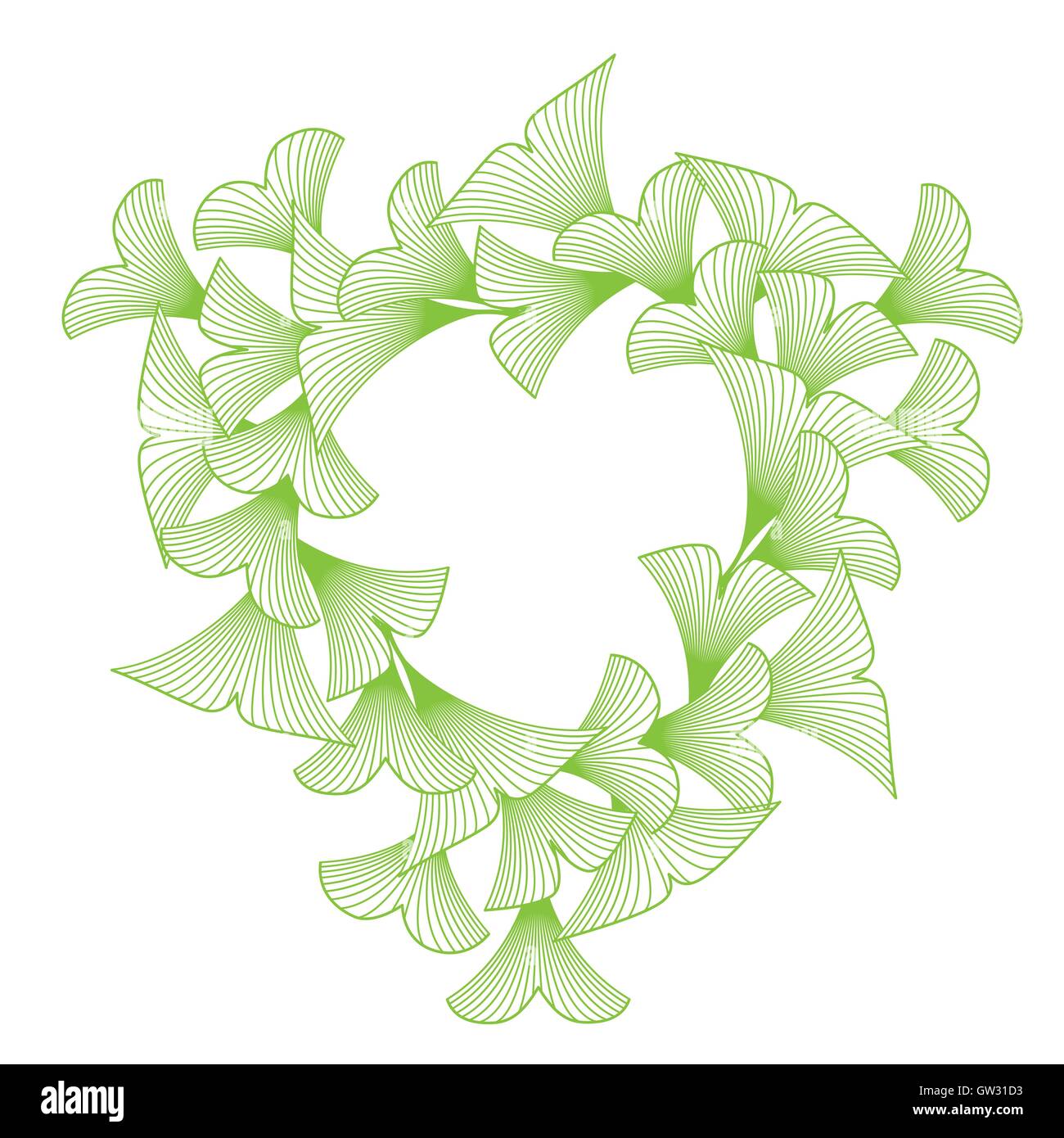 Ginkgo leaves biloba on Stock Vector Images - Alamy