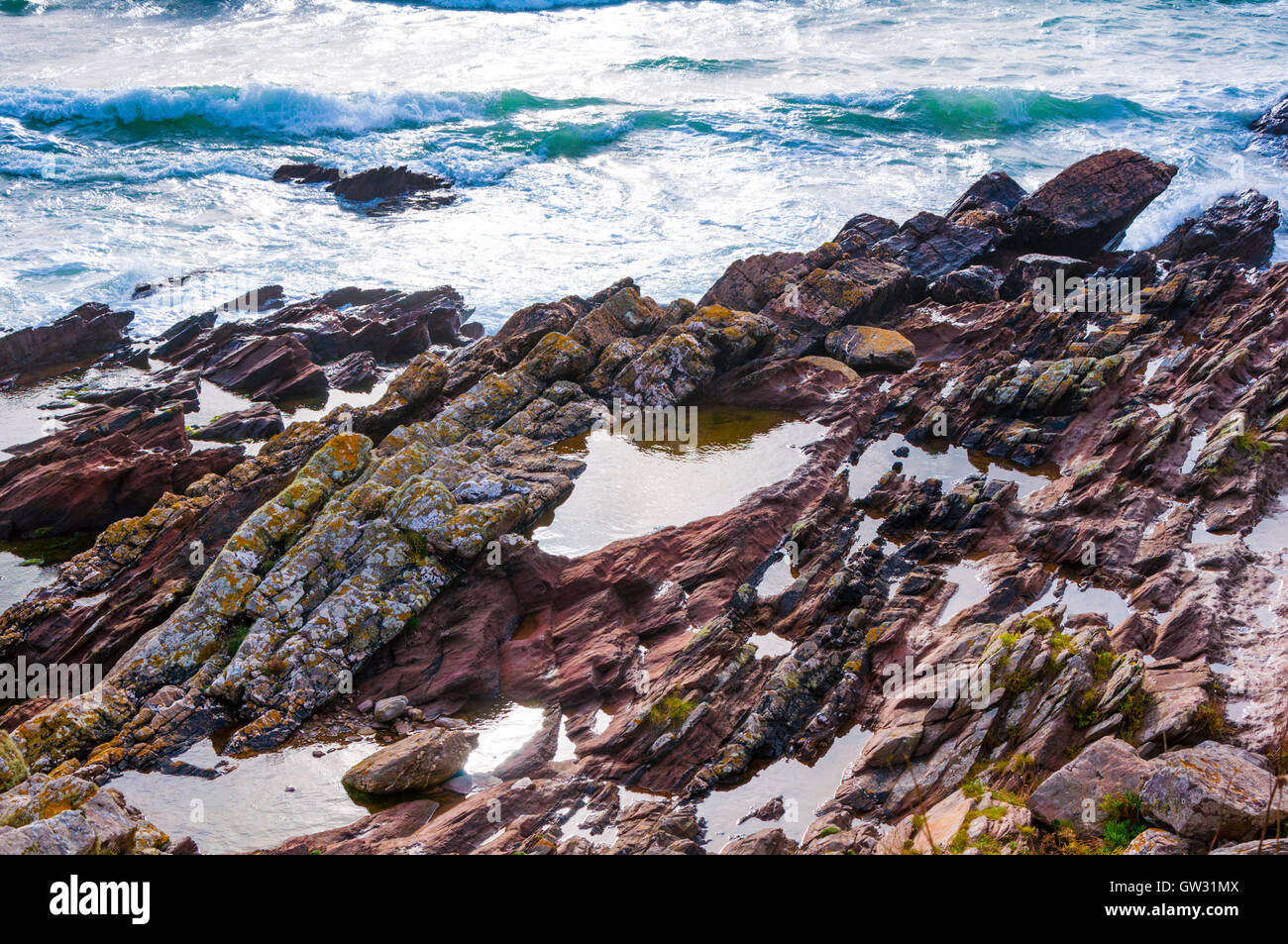 Reddish-purple mudstones & green-grey siltstones of the Lower Devonian ...