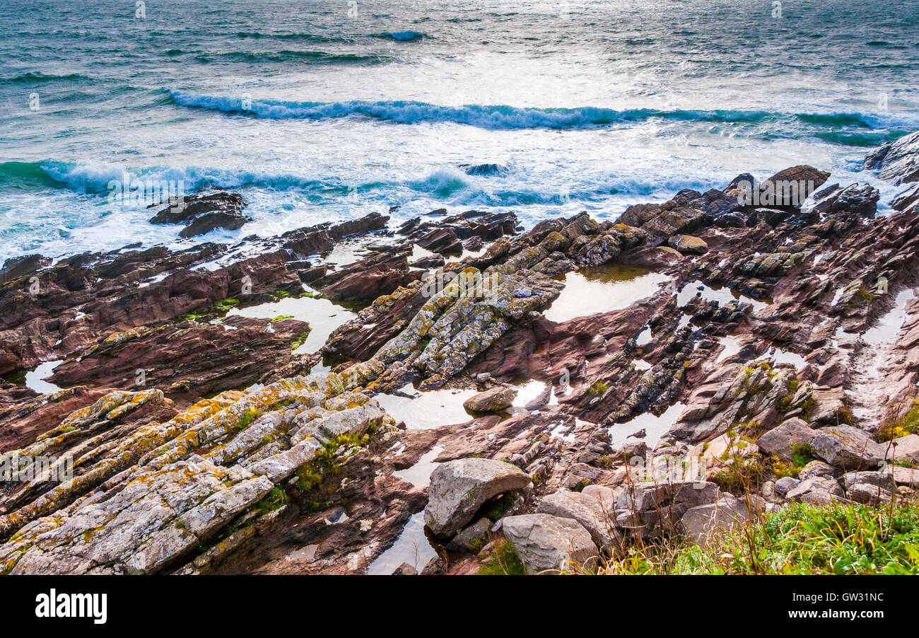 Lower devonian wembury siltstones hi-res stock photography and images ...