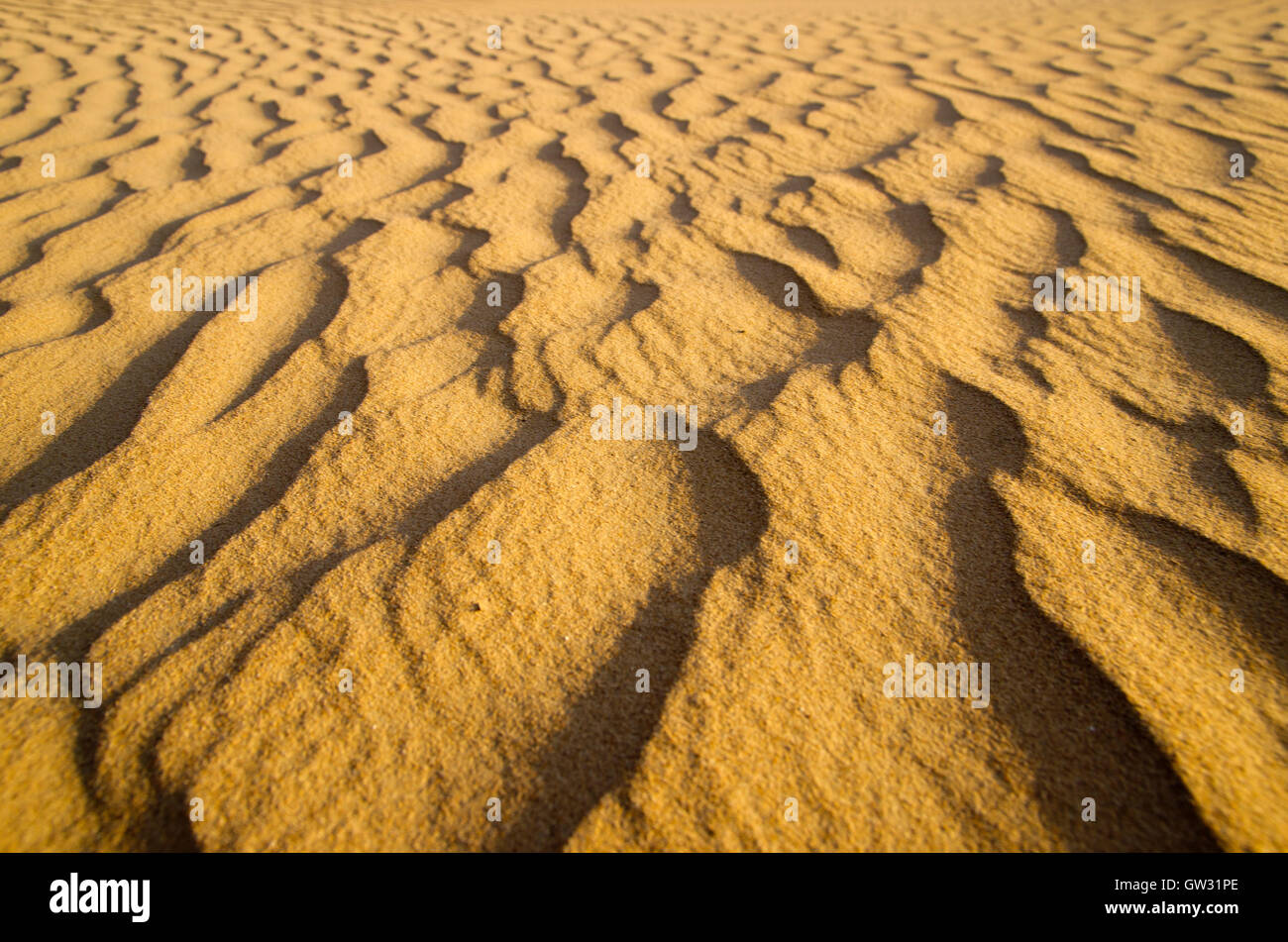 Desert color hi-res stock photography and images - Alamy