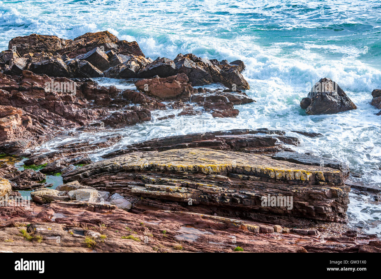Reddish-purple mudstones & green-grey siltstones of the Lower Devonian ...