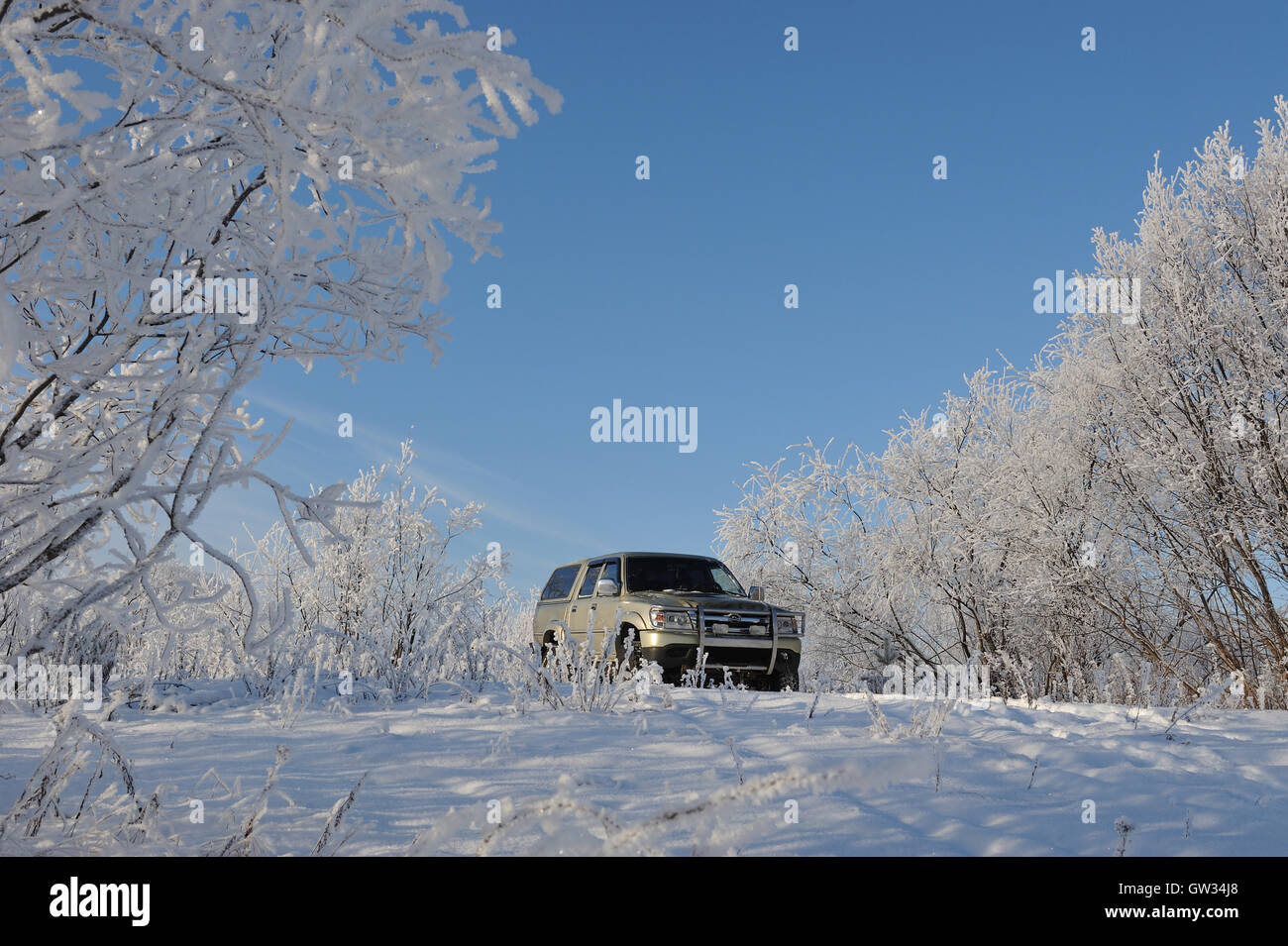 Great Wall Deer pickup driving on snowy area Stock Photo - Alamy