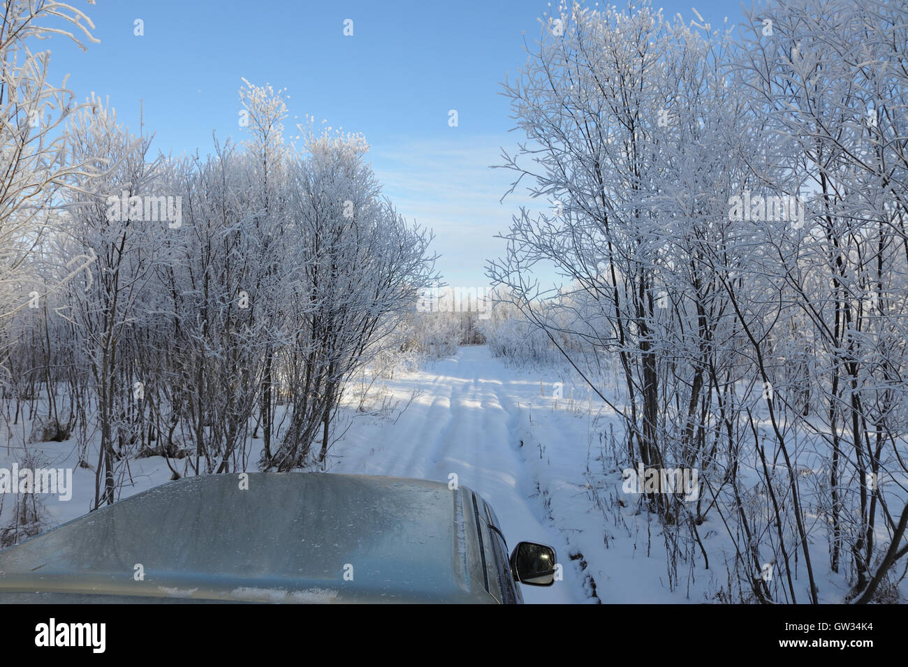 Great Wall Deer High Resolution Stock Photography and Images - Alamy