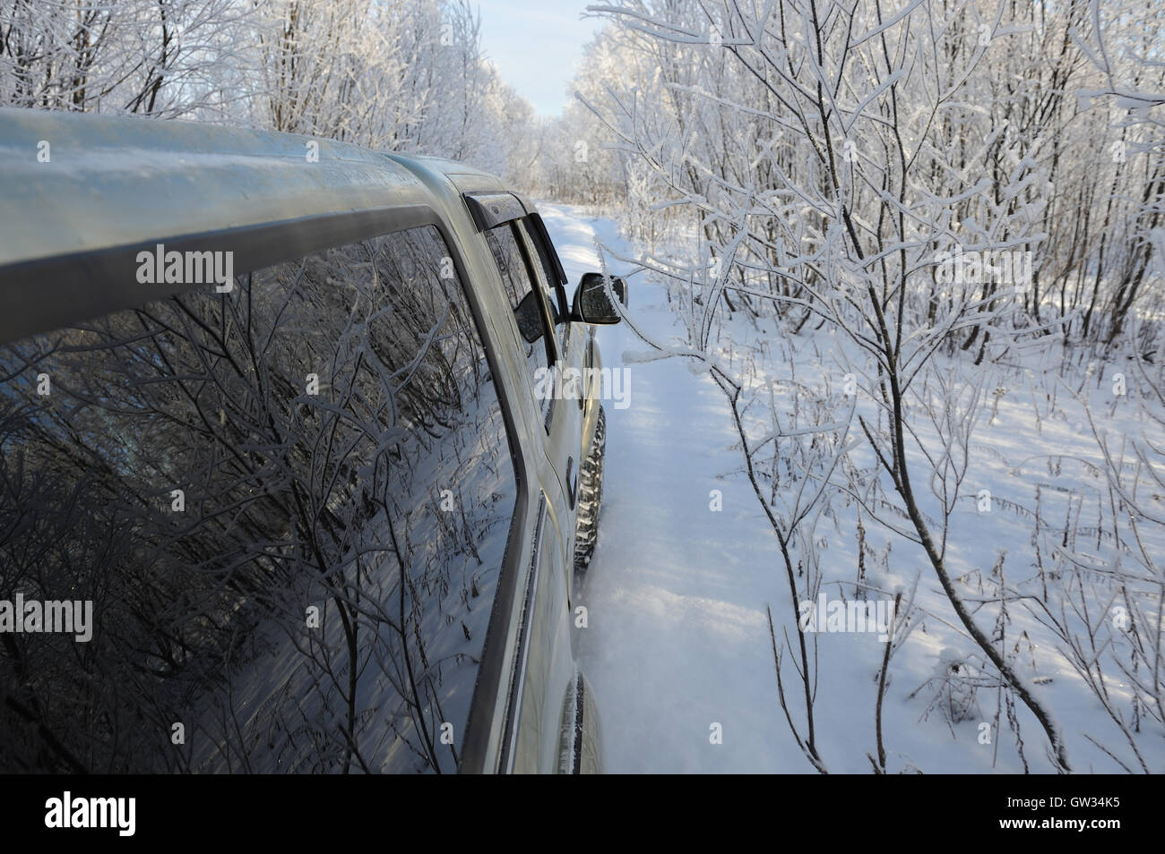 Great Wall Deer pickup driving on snowy area Stock Photo - Alamy