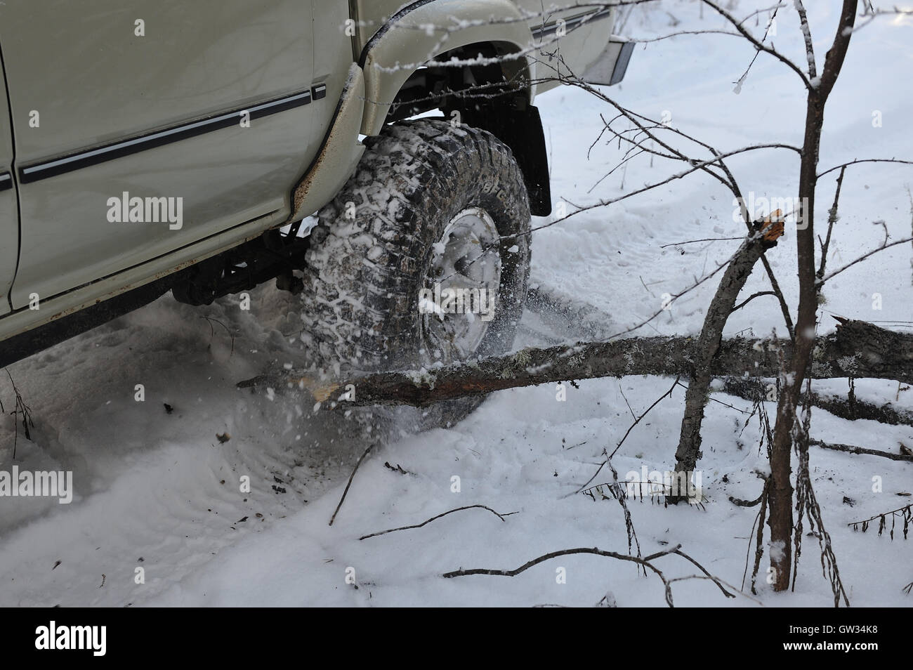 Great Wall Deer pickup driving on snowy area Stock Photo - Alamy