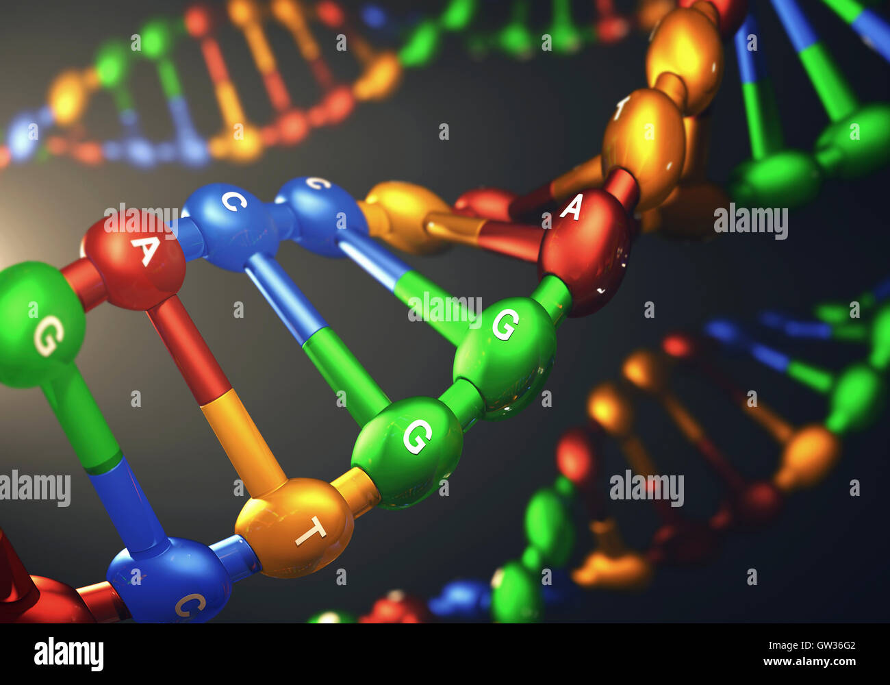 DNA (deoxyribonucleic acid) strand, illustration Stock Photo - Alamy