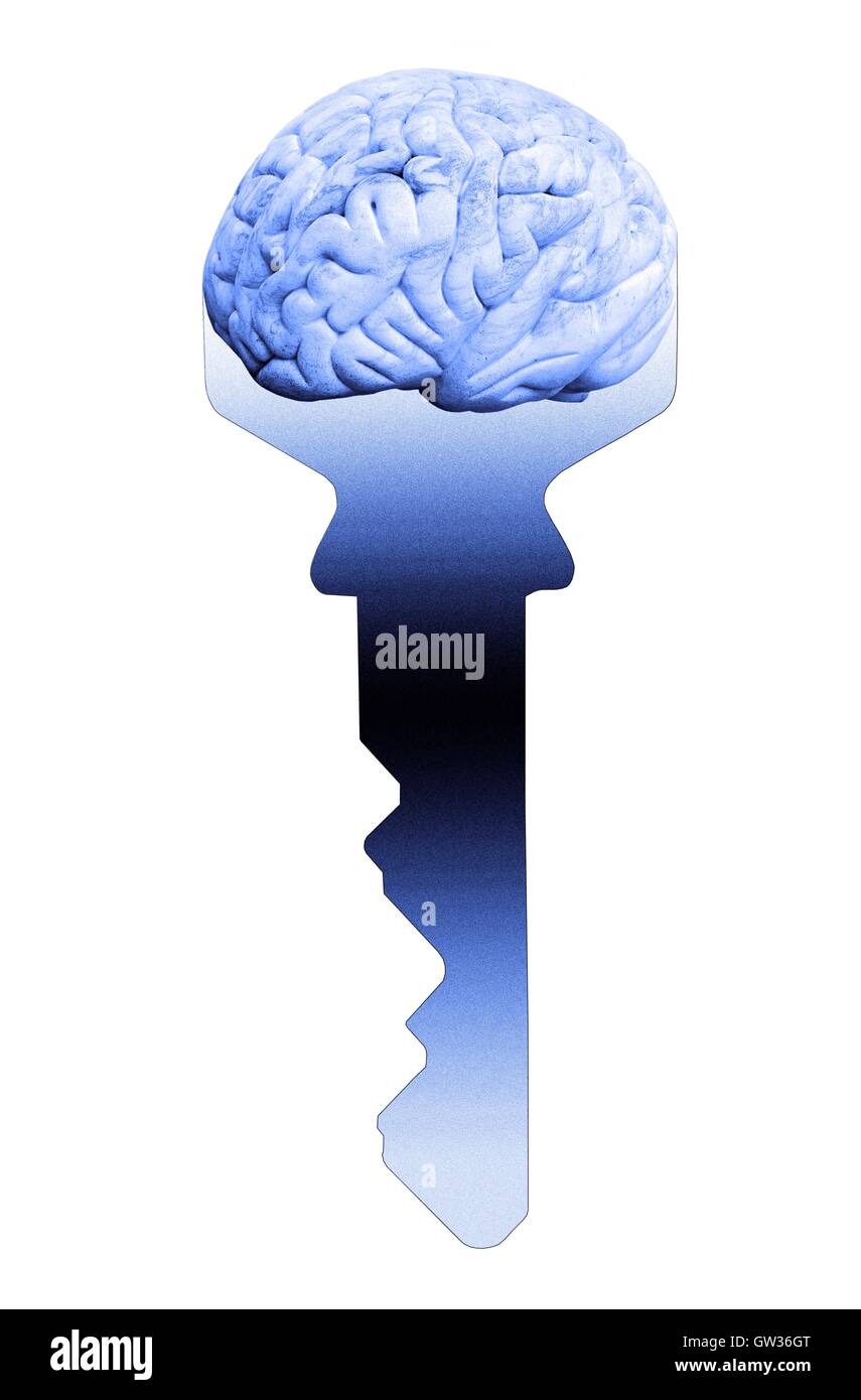 Key with brain hi-res stock photography and images - Alamy