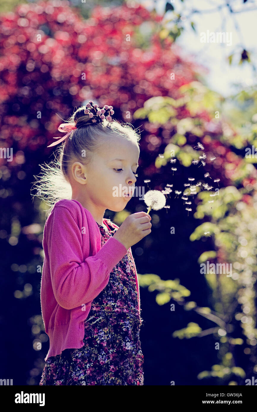 Child blowing dandelion seeds Stock Photo - Alamy
