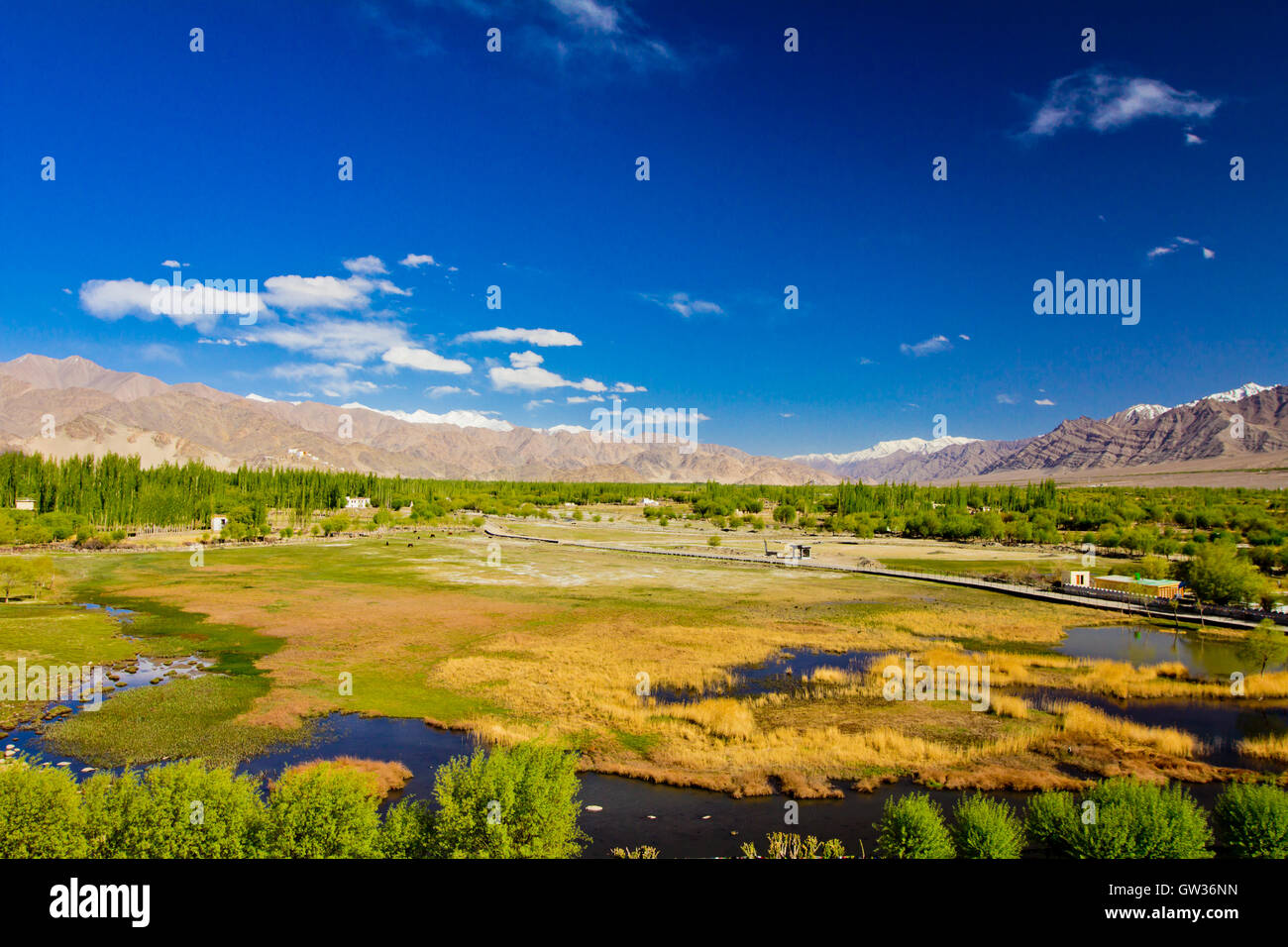 Leh Valley in Ladakh Kashmir Stock Photo - Alamy