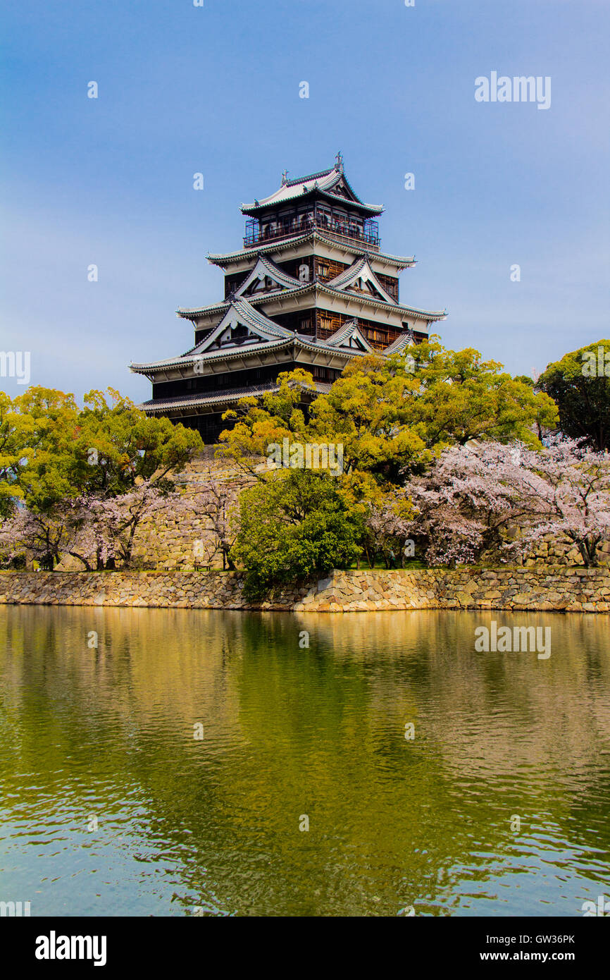 Carp castle hi-res stock photography and images - Alamy