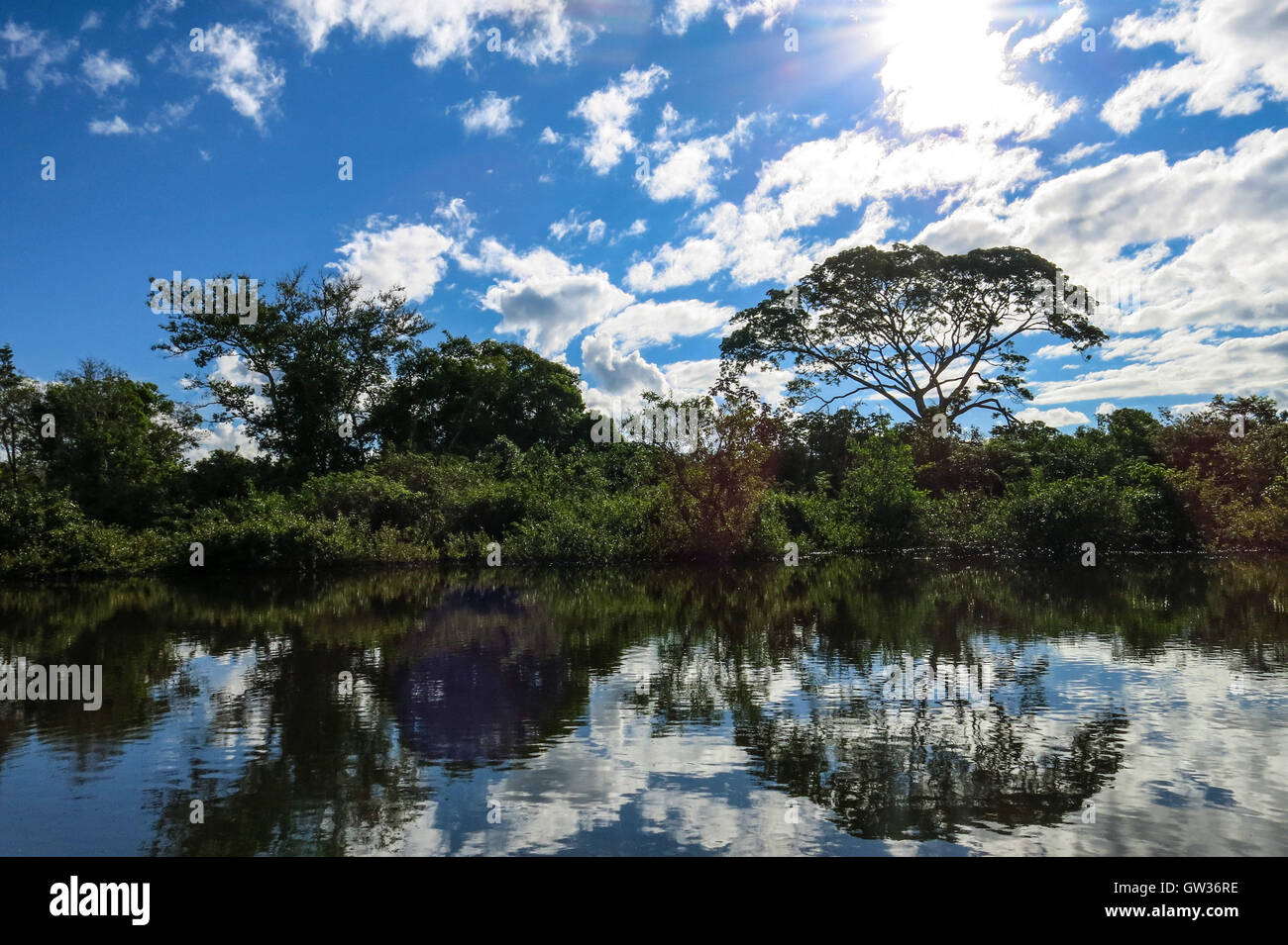 Bolivian amazon jungle hi-res stock photography and images - Alamy