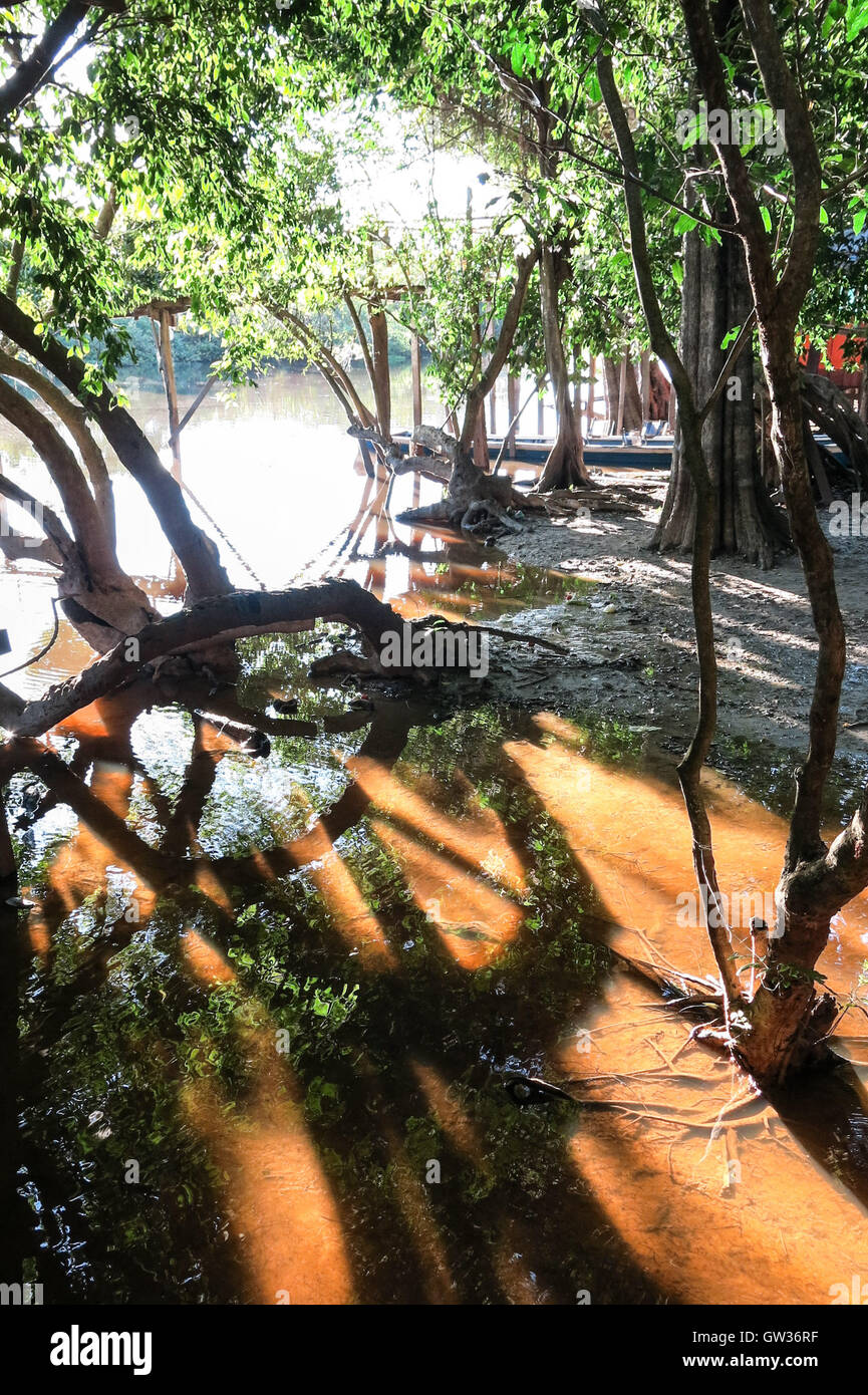 Yacuma river. Bolivian jungle. Bolivian Amazon Stock Photo - Alamy