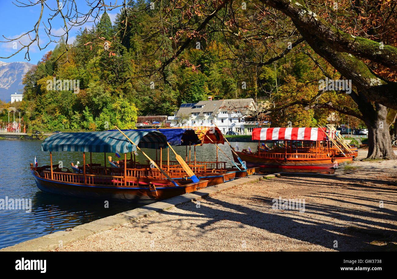 Pletna lake bled hi-res stock photography and images - Alamy