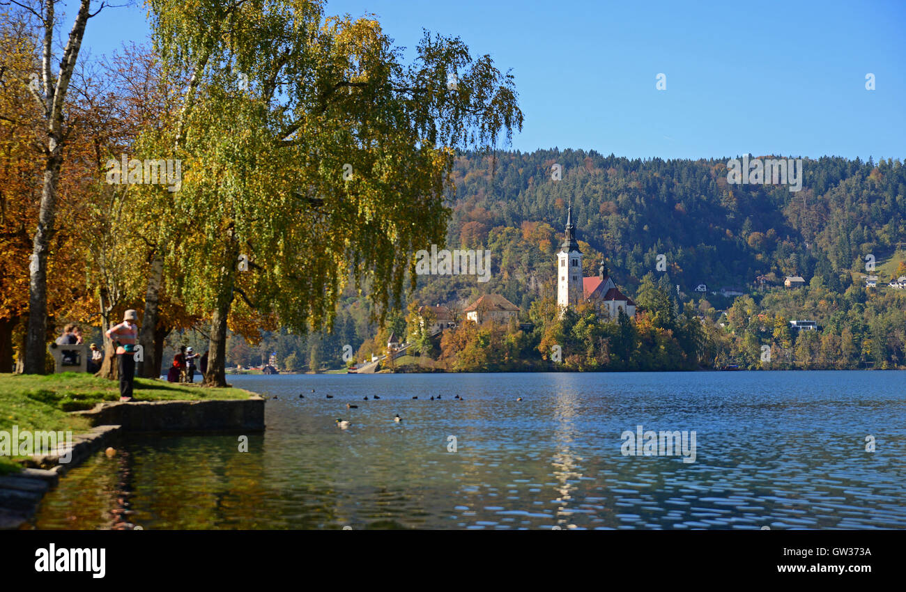 Pletna lake bled hi-res stock photography and images - Alamy