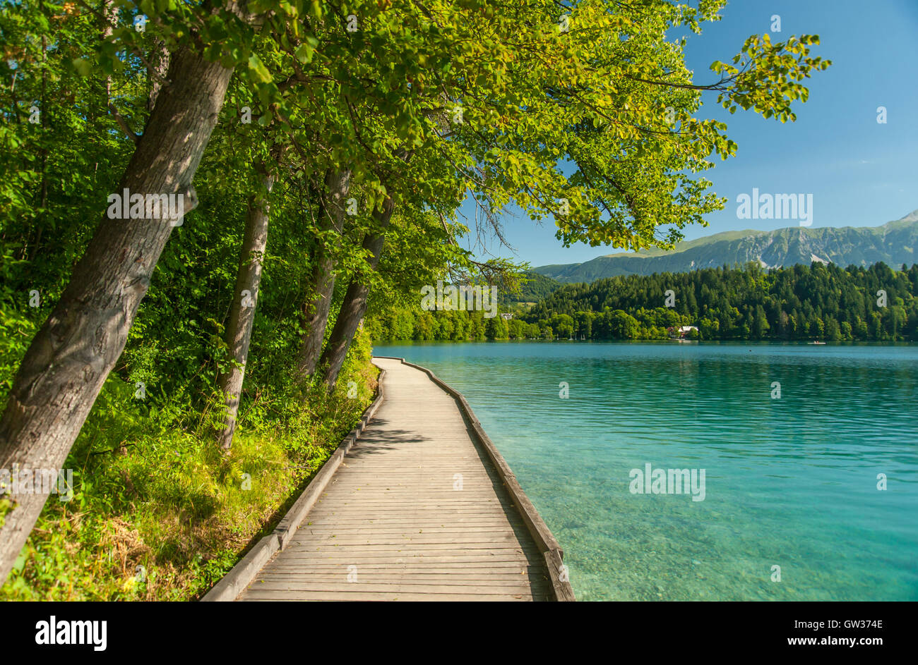 Lake Bled path, Slovenia Stock Photo - Alamy