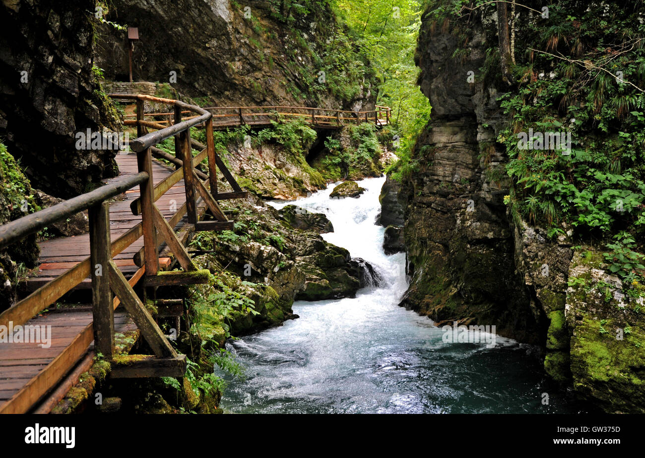 Bled gorge, Blejski vintgar, Slovenia Stock Photo - Alamy