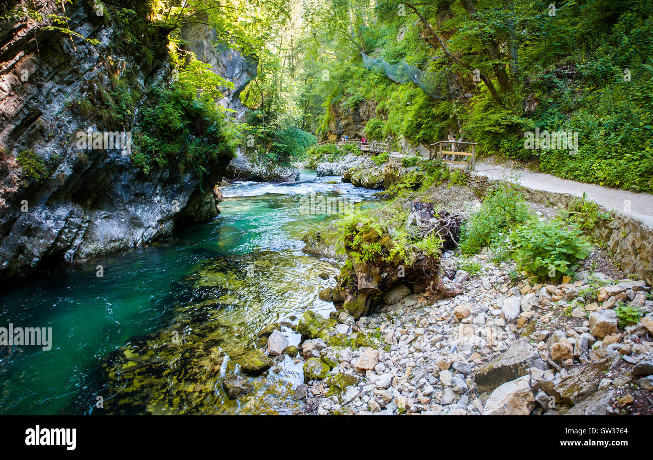Bled gorge, Blejski vintgar, Slovenia Stock Photo - Alamy