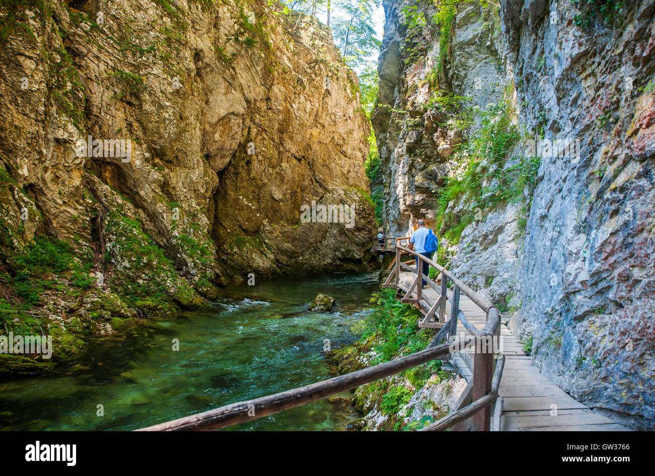 Bled gorge, Blejski vintgar, Slovenia Stock Photo - Alamy