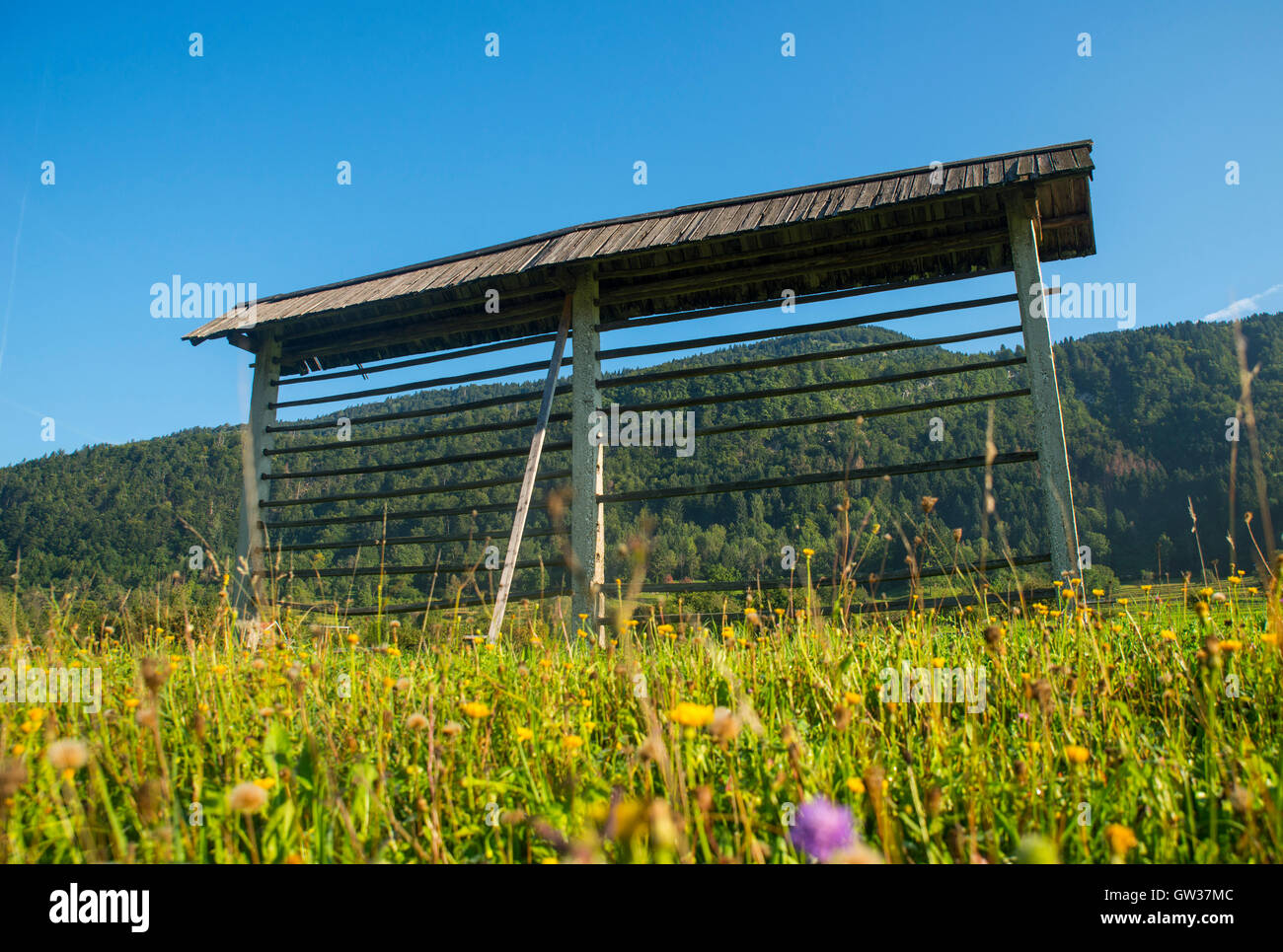 Hay hayrack hi-res stock photography and images - Alamy