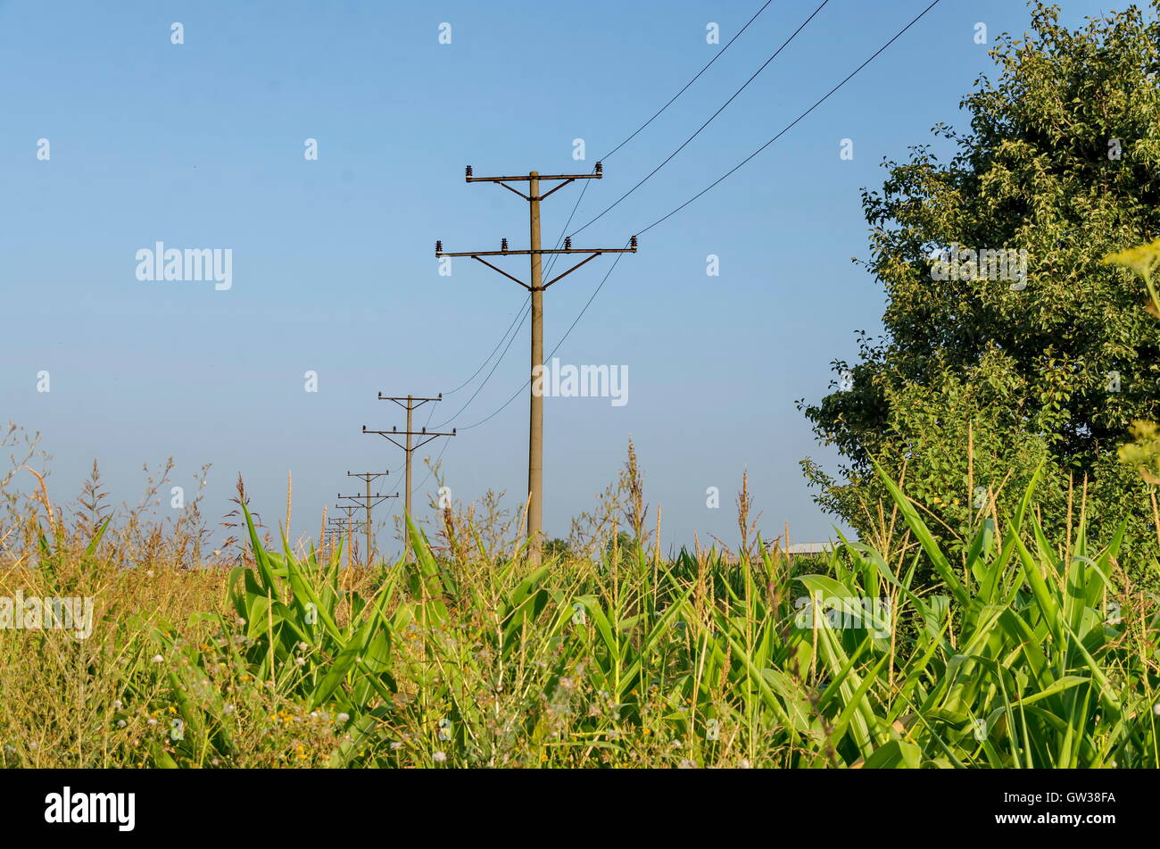 Old metal electric post at summer field, Zavet, Bulgaria Stock Photo ...