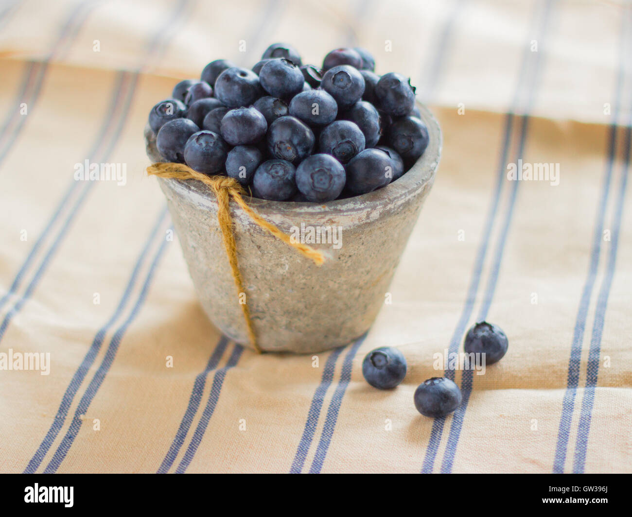 Purple blueberries hi-res stock photography and images - Alamy