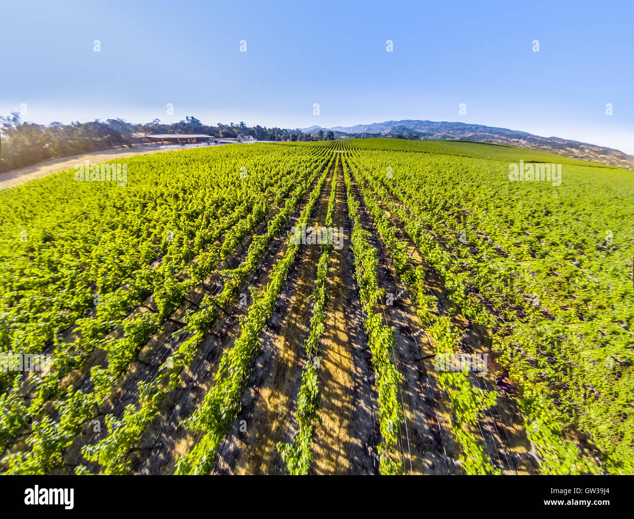 Napa valley vineyard panoramic hi-res stock photography and images - Alamy