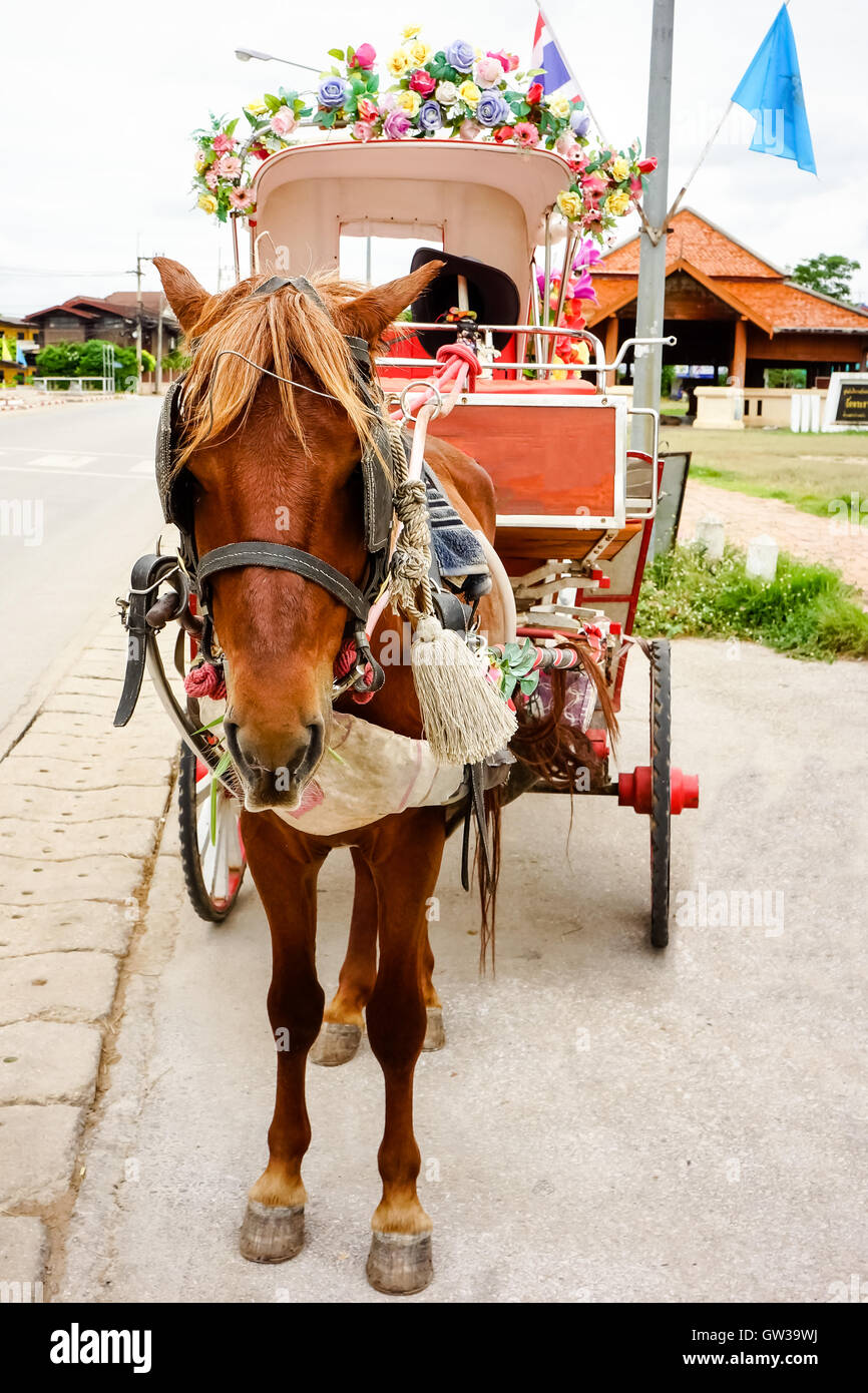 horse carriage cabin Stock Photo - Alamy