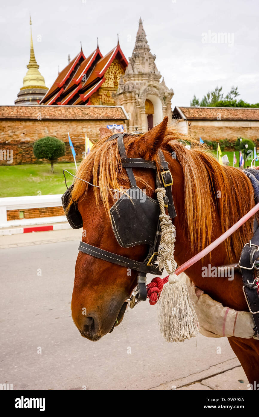 horse carriage cabin in front Old Temple Stock Photo - Alamy