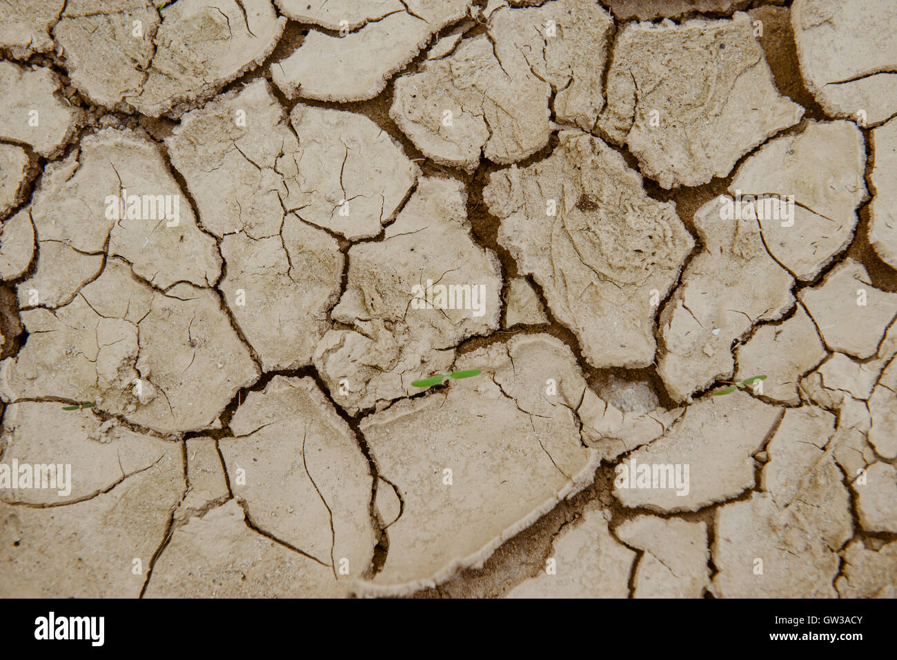 Cracked ground,Dry land. Cracked ground background,Dry cracked ground ...
