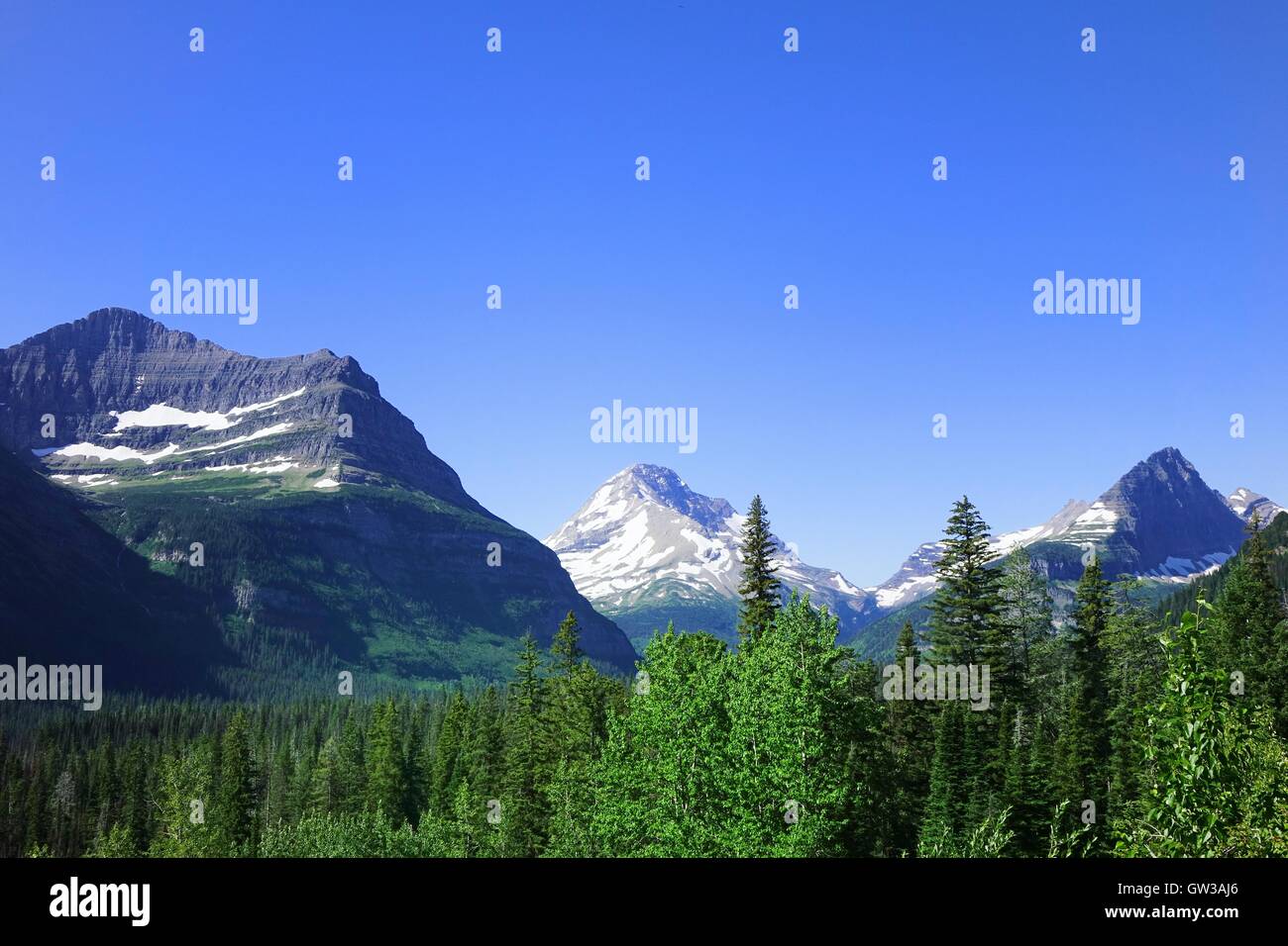 Trees, mountains, snow, glaciers, Glacier National Park, Montana Stock ...