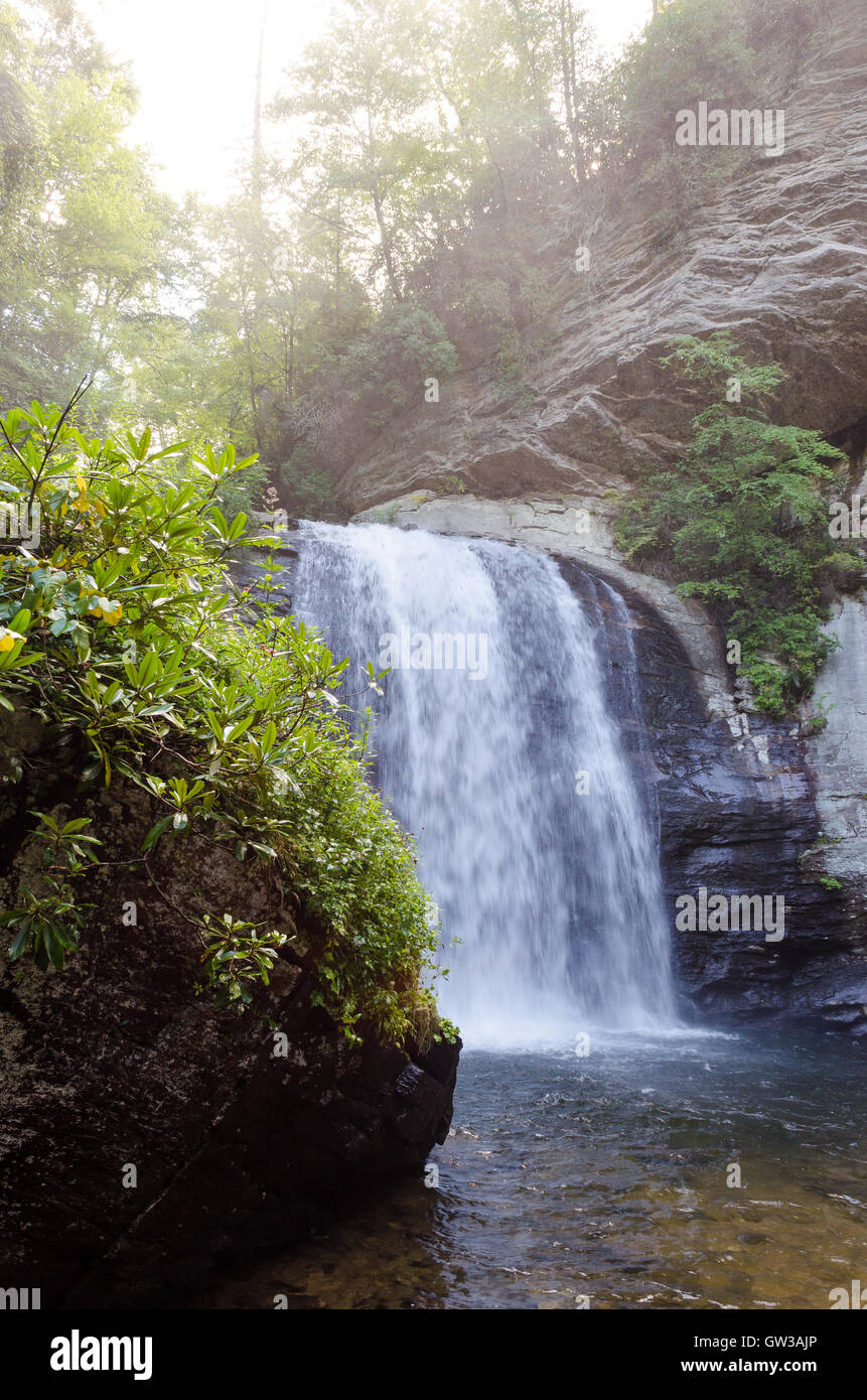 Looking Glass Falls in North Carolina Stock Photo - Alamy
