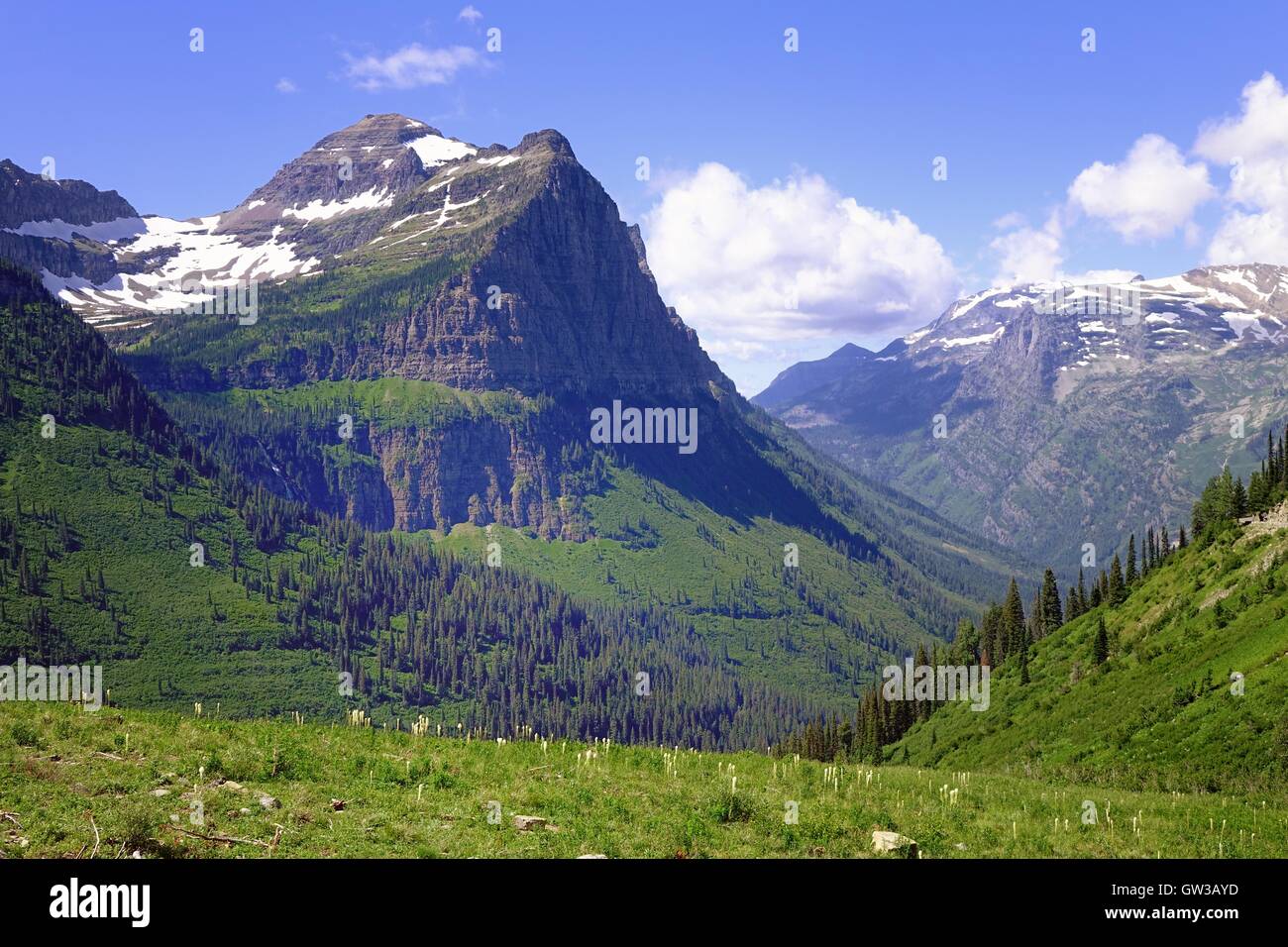 Mountain scene, Glacier National Park, Montana Stock Photo - Alamy