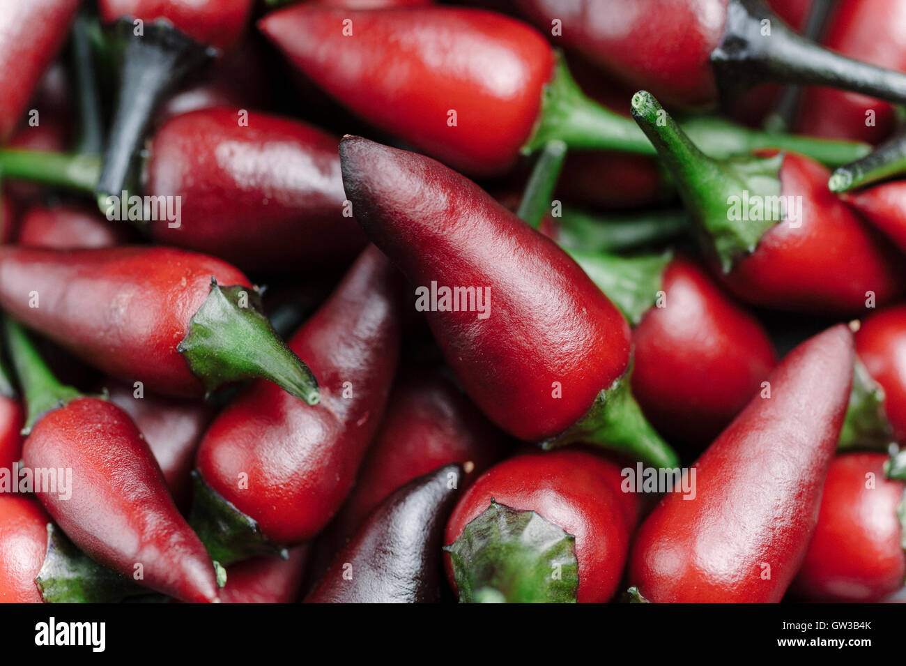 A closeup photograph of red chili peppers Stock Photo - Alamy